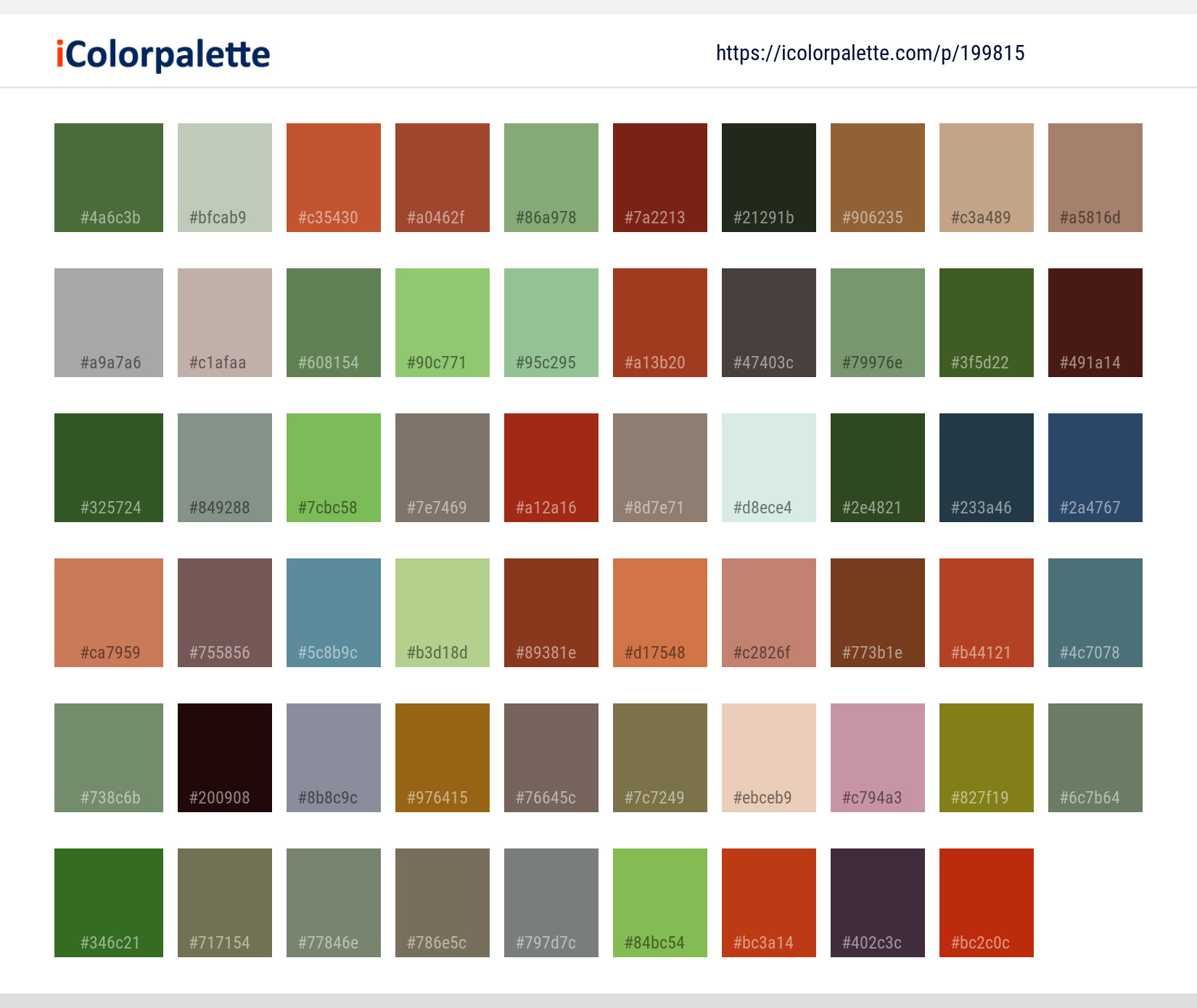 Color Palette Ideas from Beak Bird Parrot Image | iColorpalette