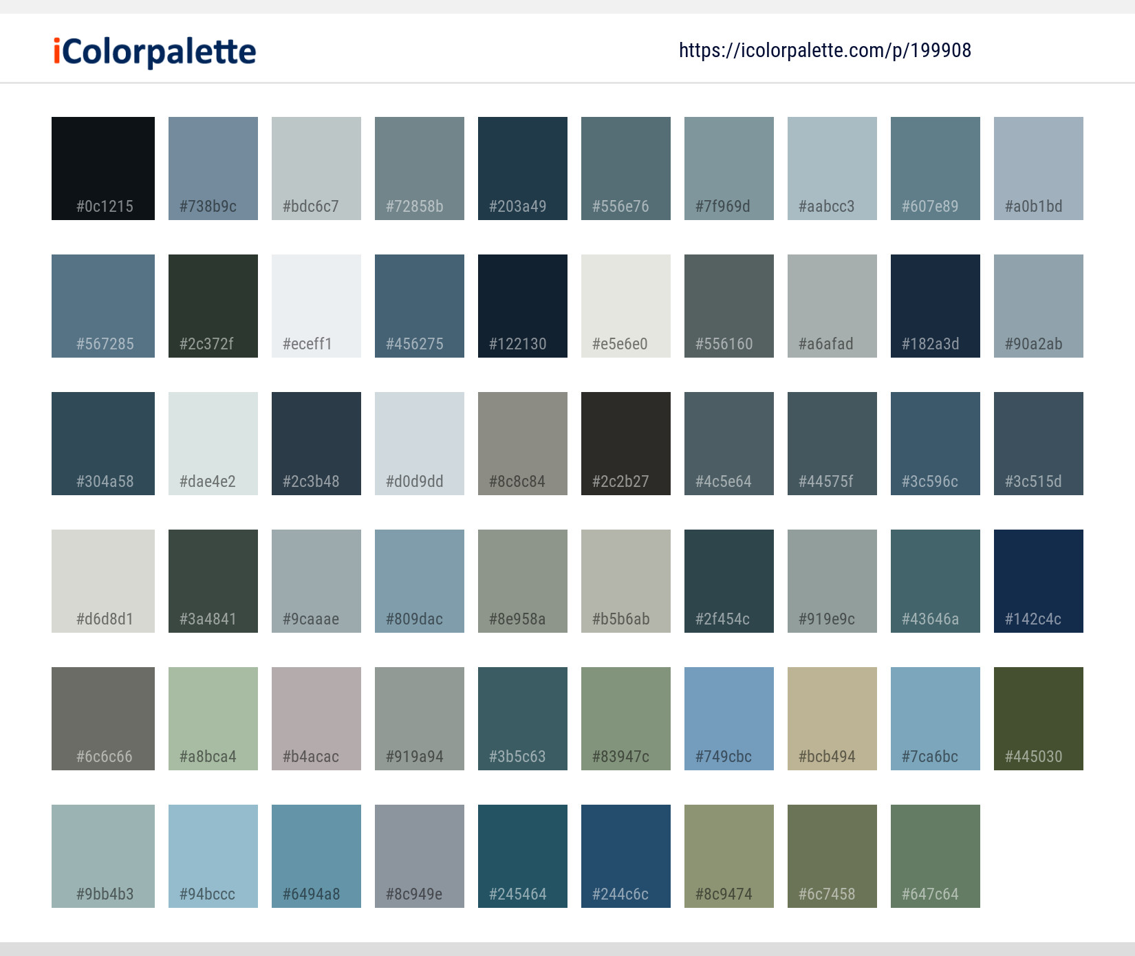Color Palette Ideas from Polar Bear Image | iColorpalette