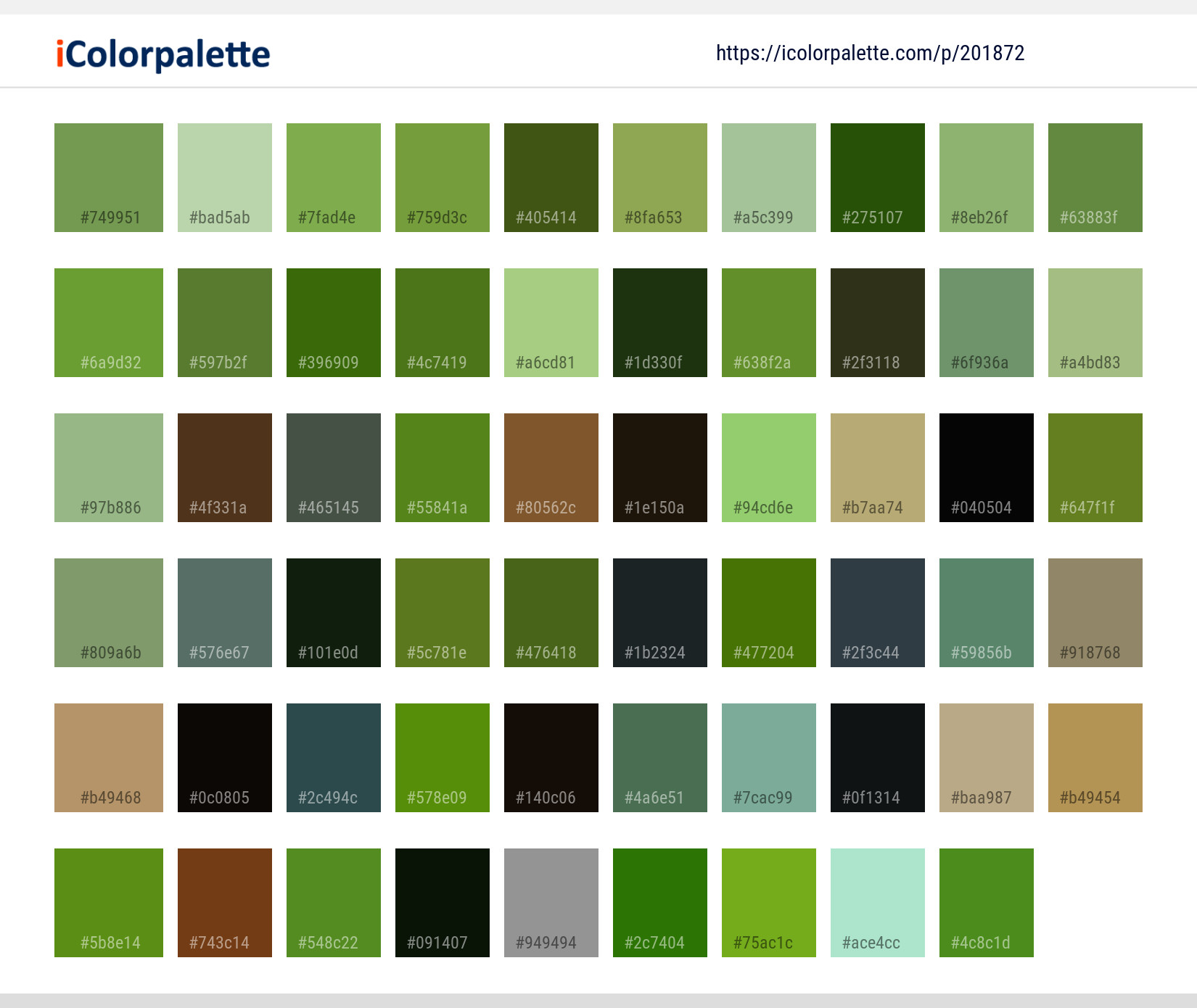 Color Palette Ideas From Green Plant Grass Image Icolorpalette