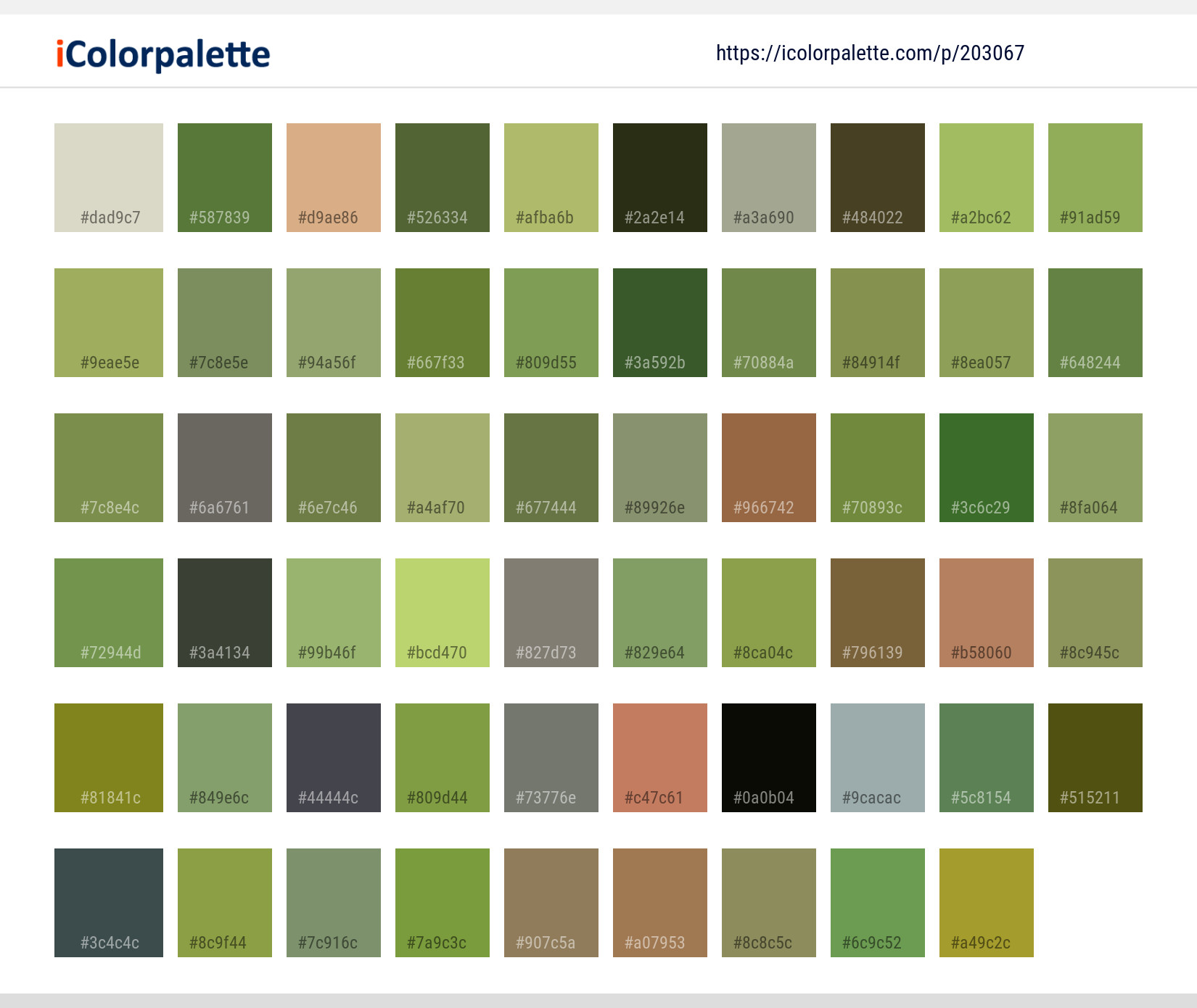 Color Palette Ideas from Bird Ecosystem Fauna Image | iColorPalette