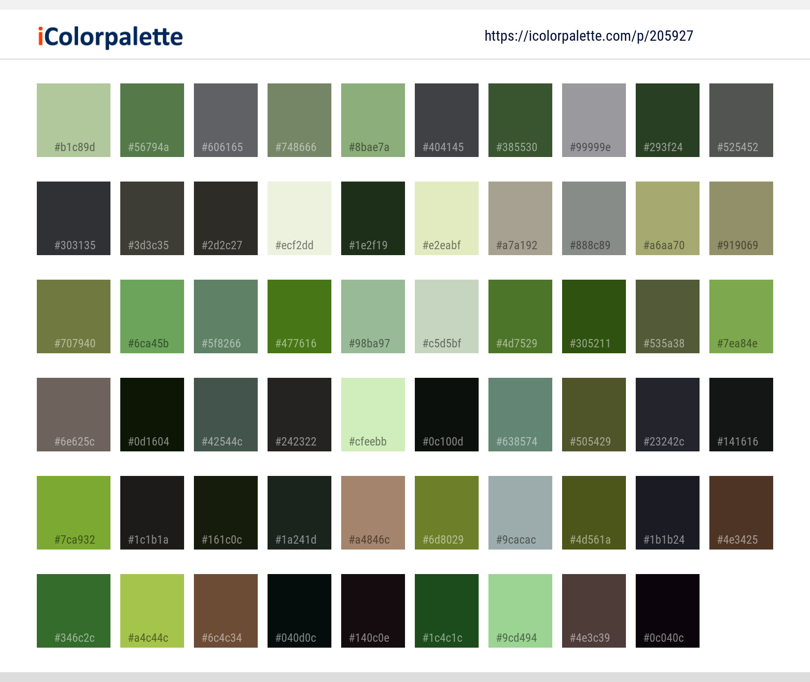 Color Palette Ideas from Great Ape Common Chimpanzee Mammal Image ...