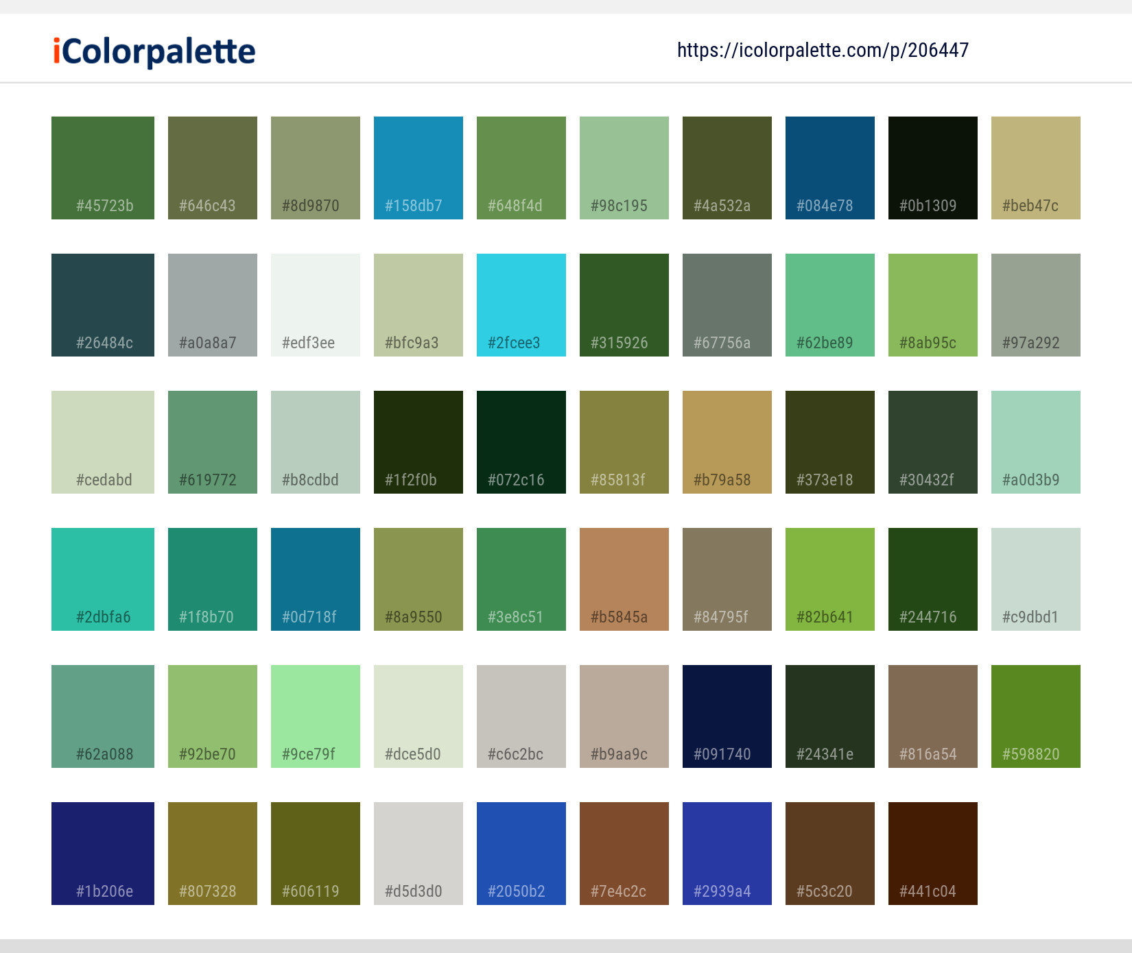 Color Palette Ideas from Peafowl Feather Galliformes Image | iColorpalette