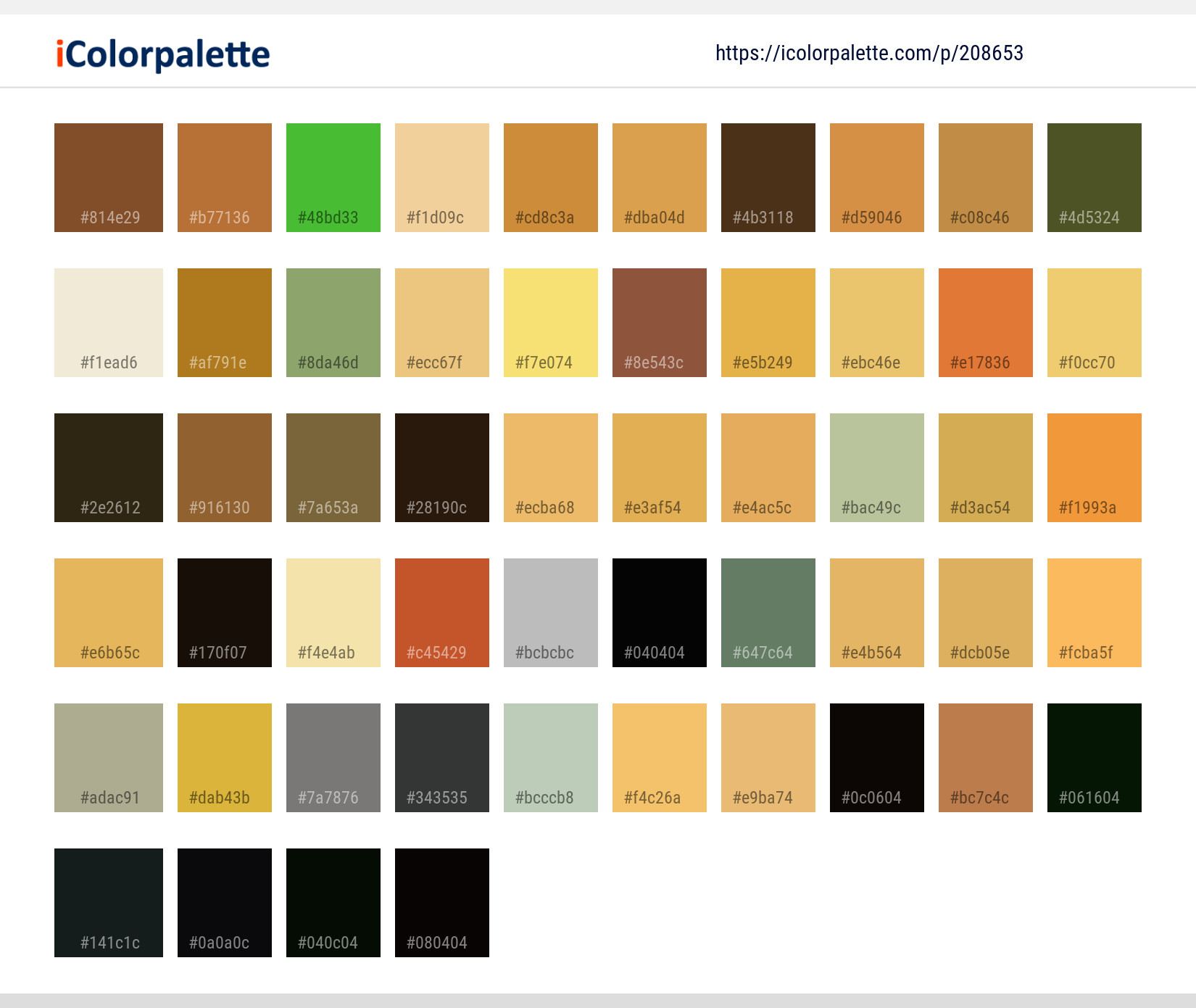 Color Palette Ideas from Owl Bird Of Prey Image | iColorpalette