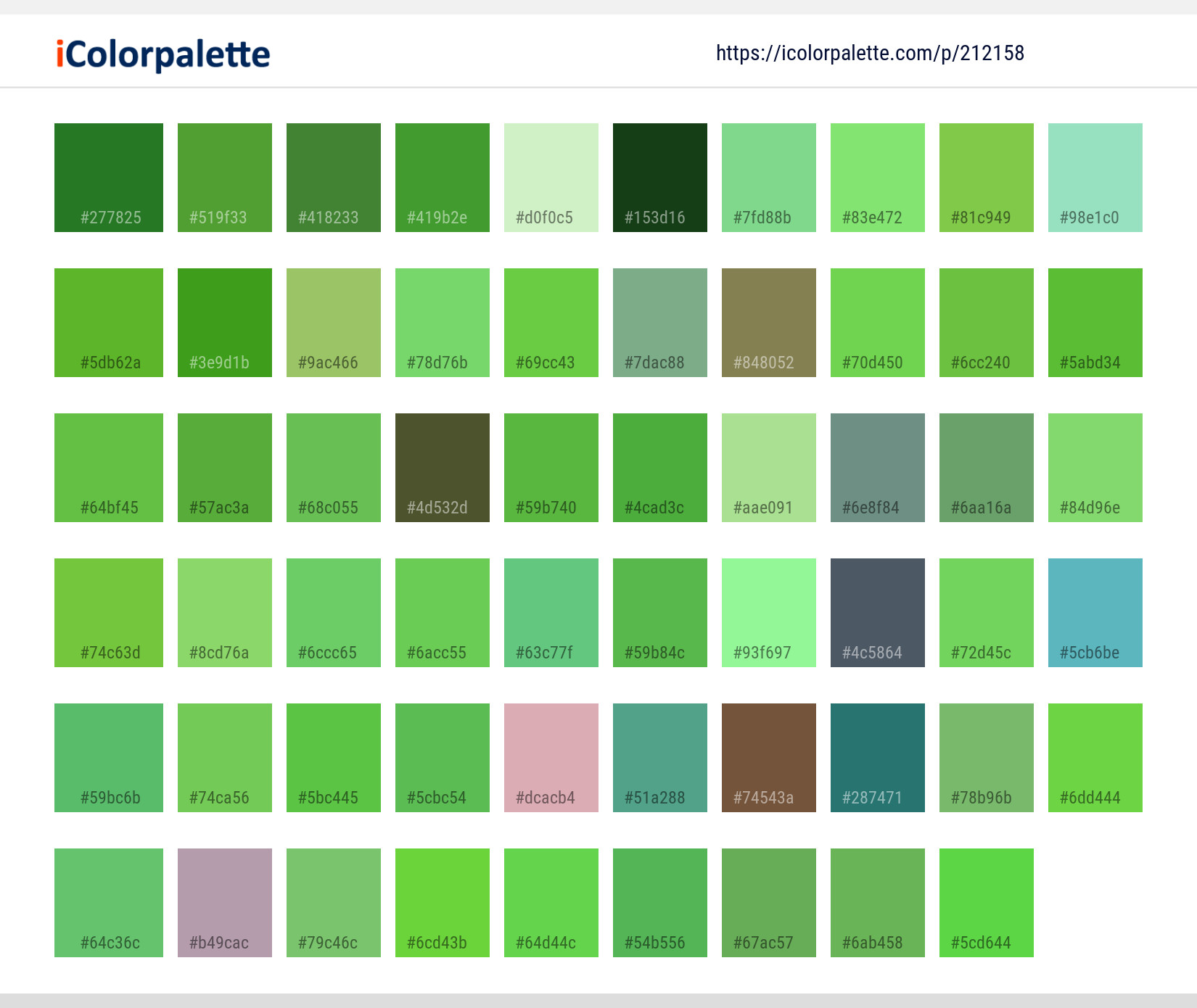 Color Palette Ideas from Water Dew Drop Image | iColorpalette