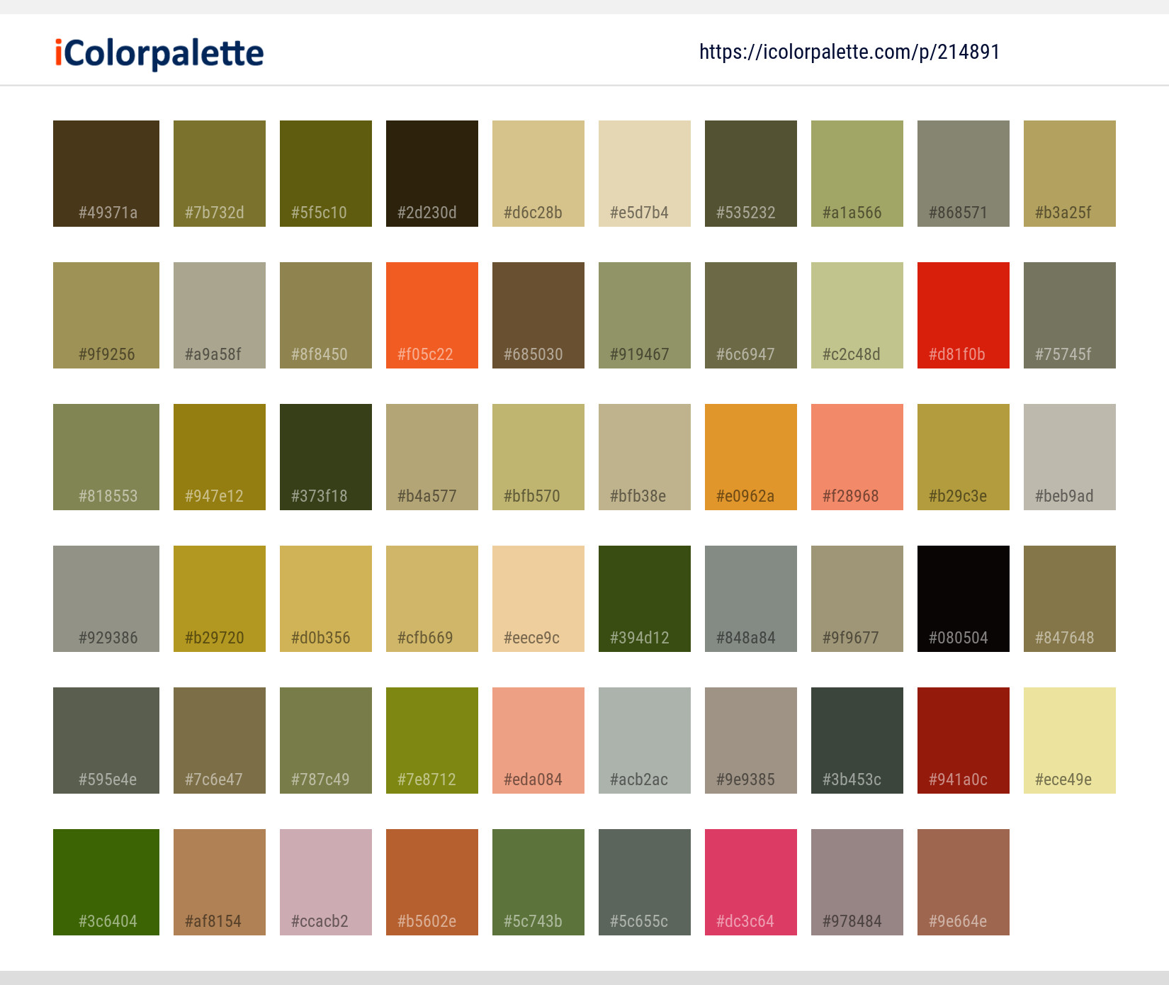 Color Palette Ideas from Grass Family Plant Food Grain Image ...