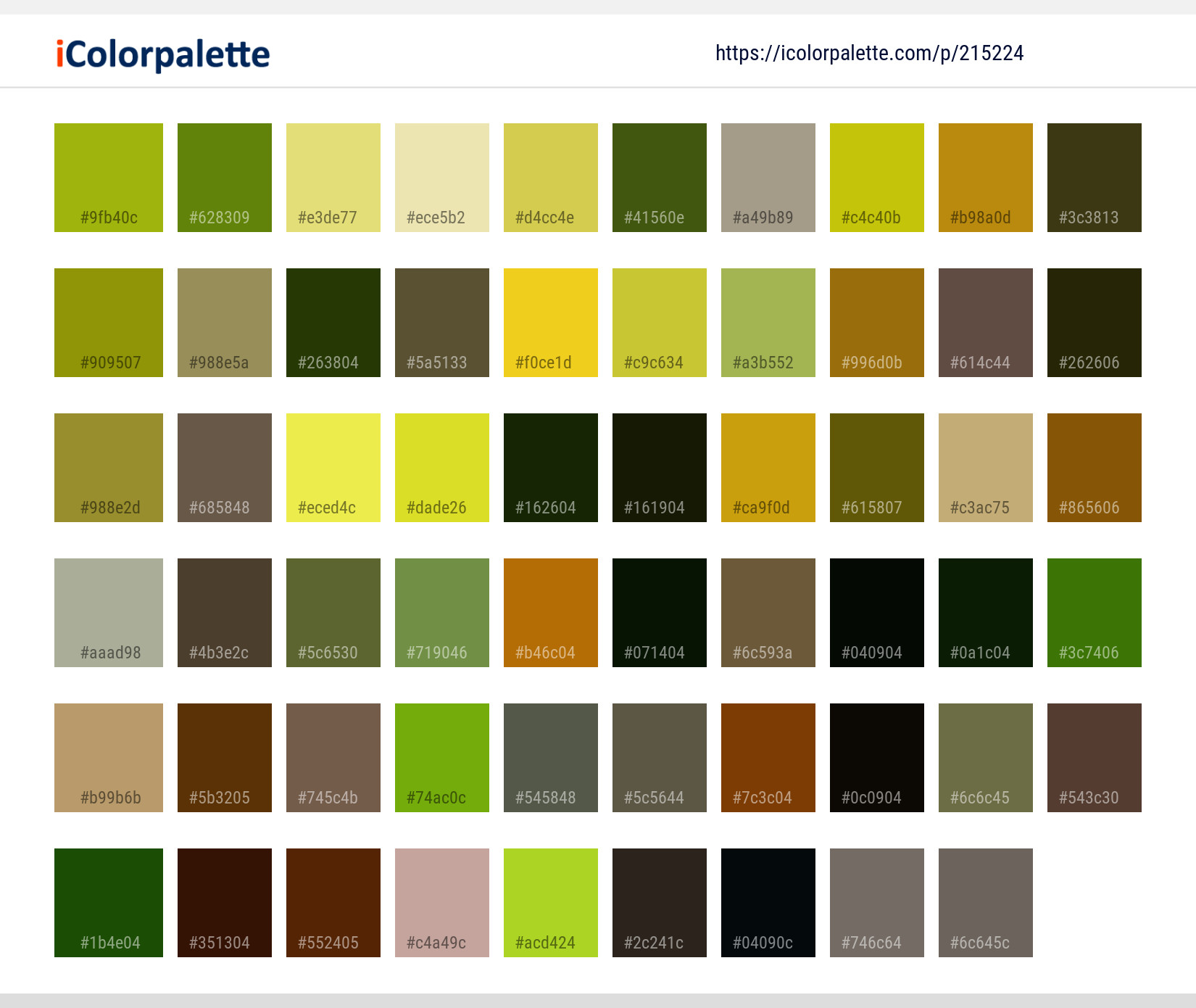 Color Palette Ideas from Snails And Slugs Snail Flora Image | iColorpalette