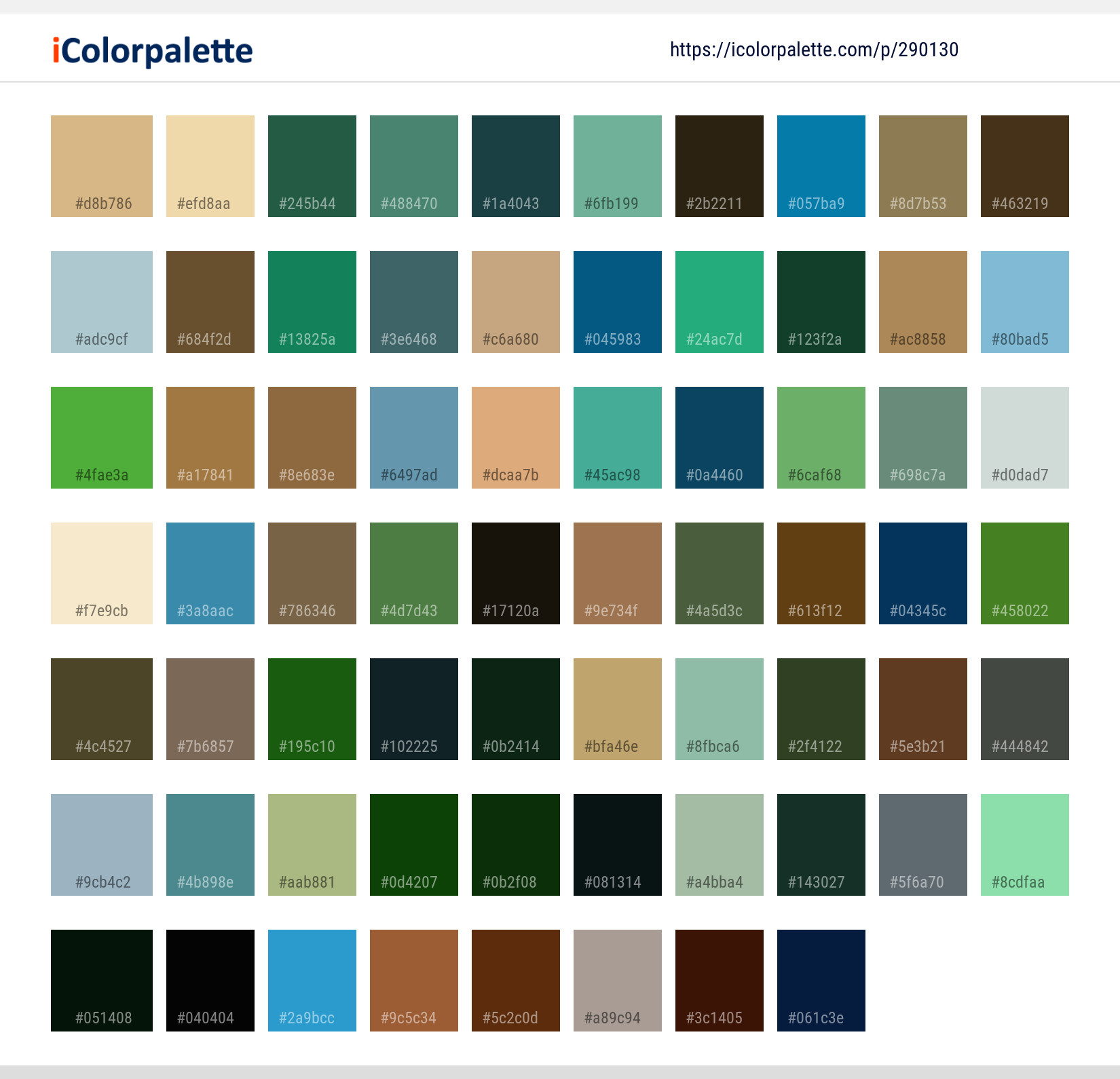 Color Palette Ideas from Plant Vegetation Agave Image | iColorpalette