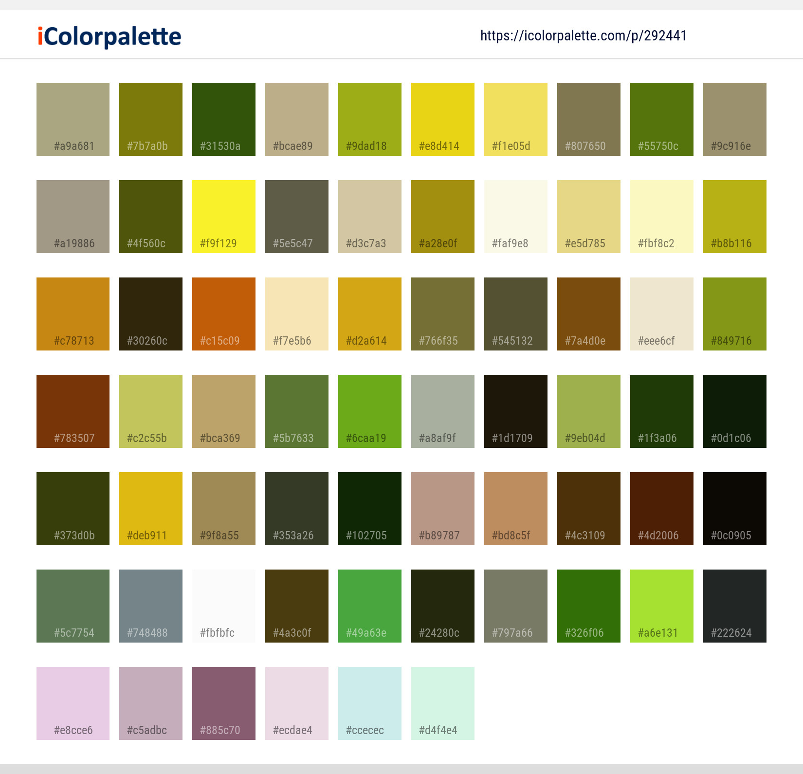 Color Palette Ideas from Nature Green Path Image | iColorpalette