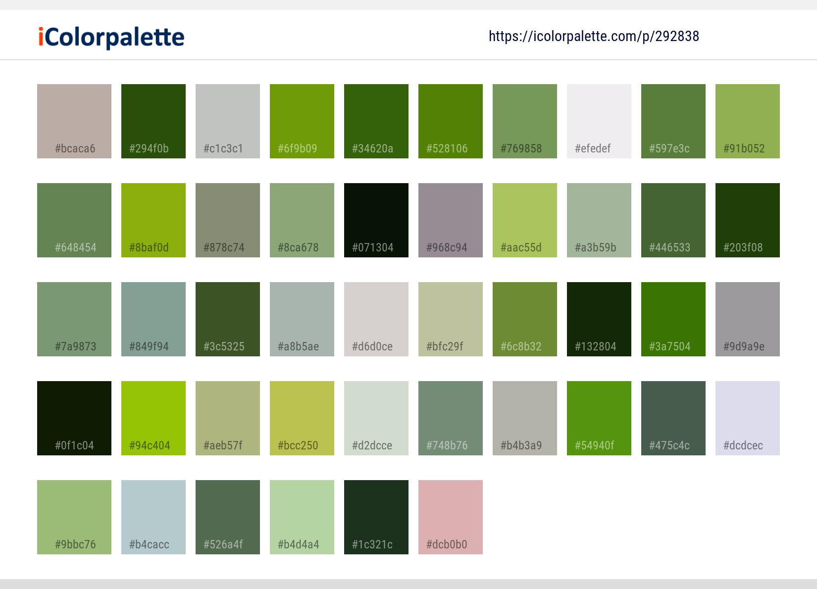 Color Palette Ideas from Leaf Plant Herb Image | iColorpalette