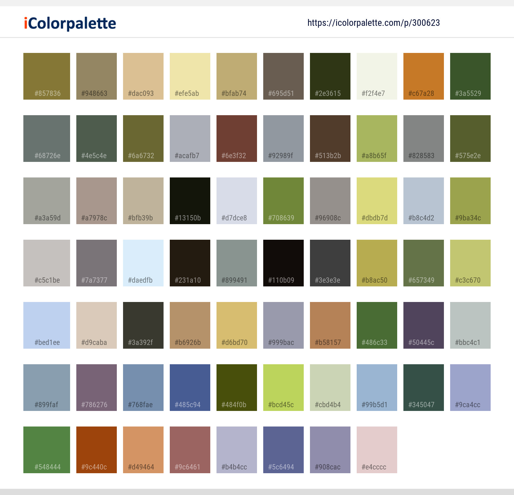 Color Palette Ideas from Dog Like Mammal Breed Image | iColorpalette