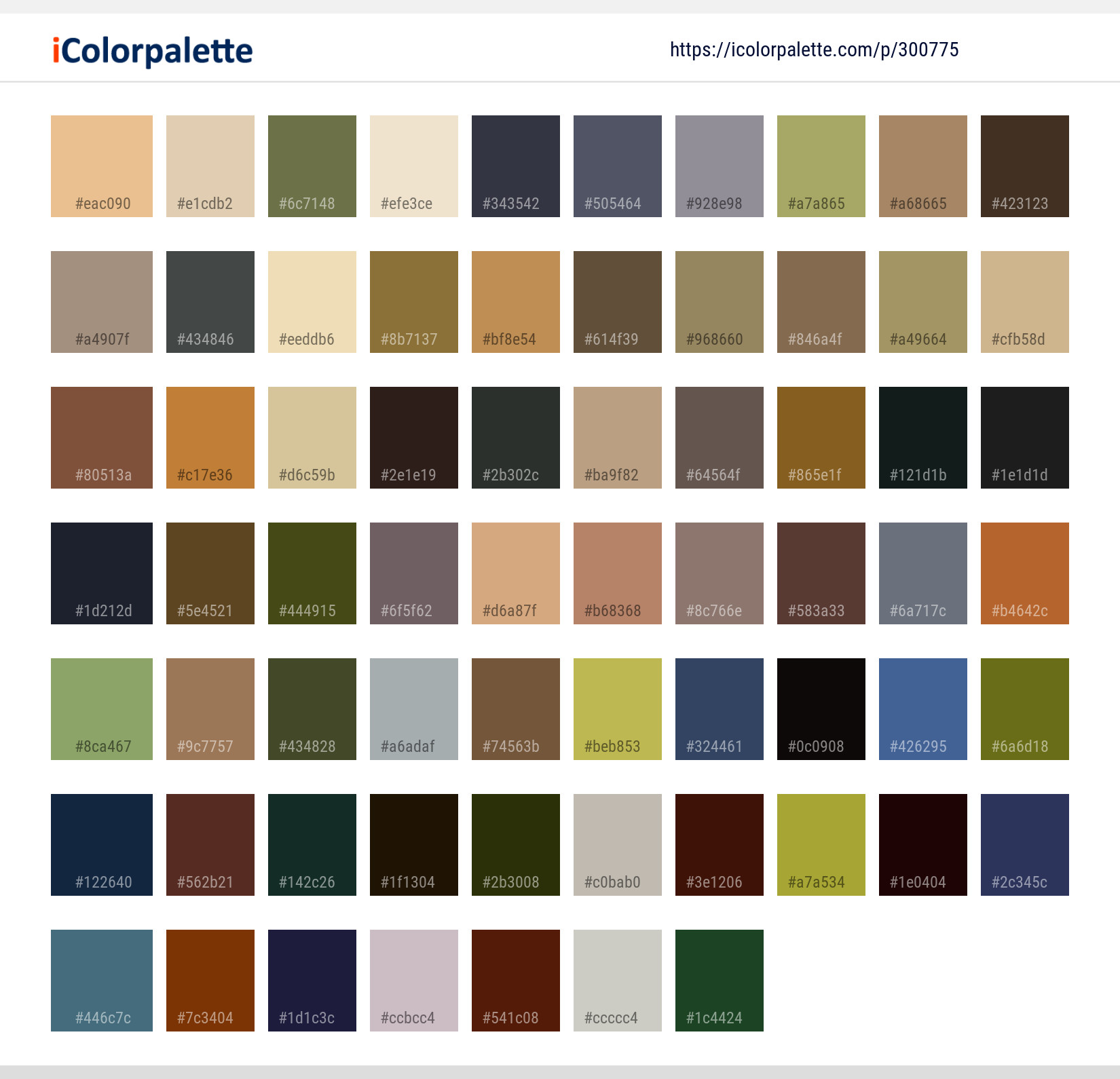Color Palette Ideas from Fauna Donkey Wildlife Image | iColorpalette