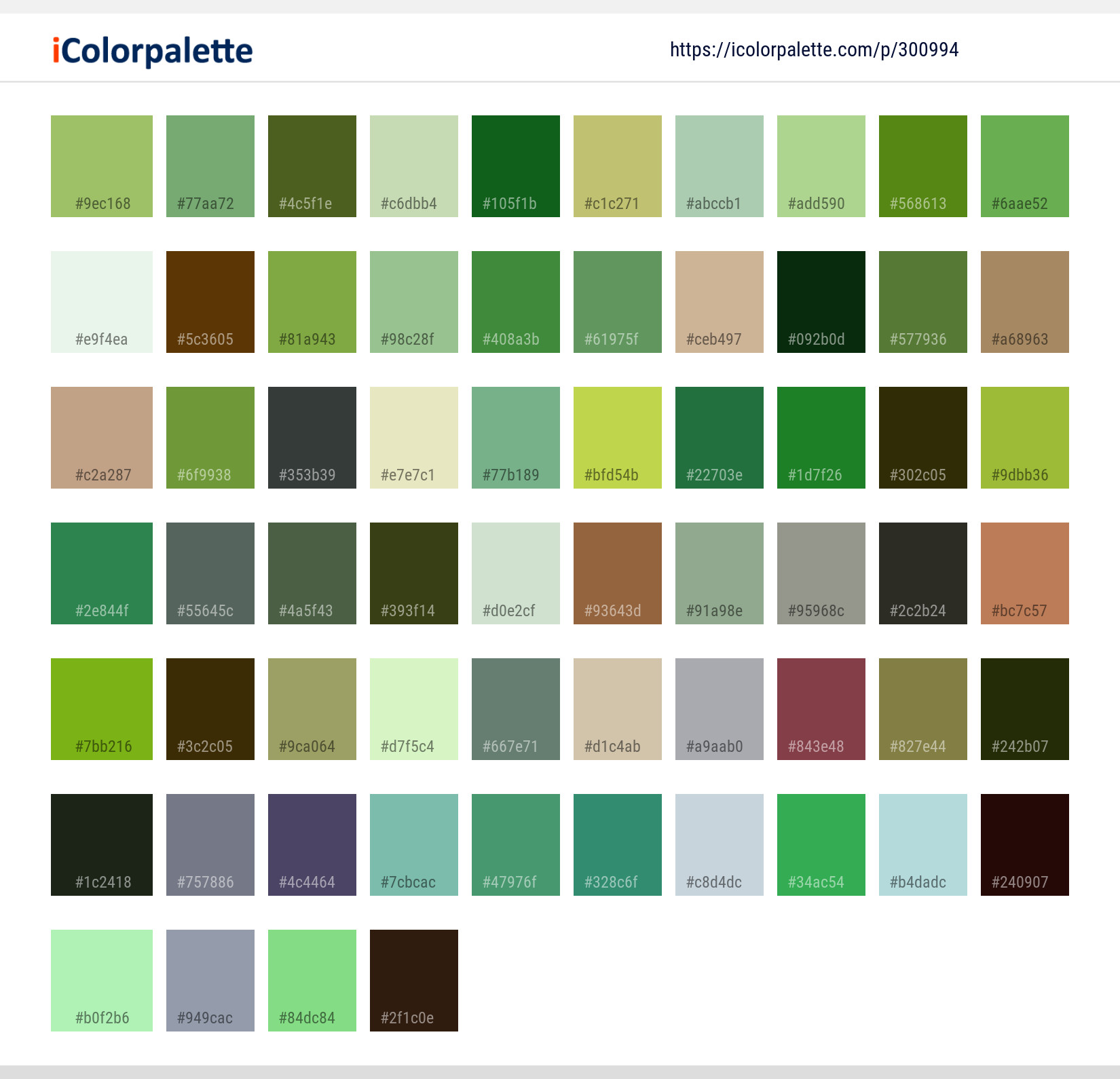 Color Palette Ideas from Water Dew Green Image | iColorpalette