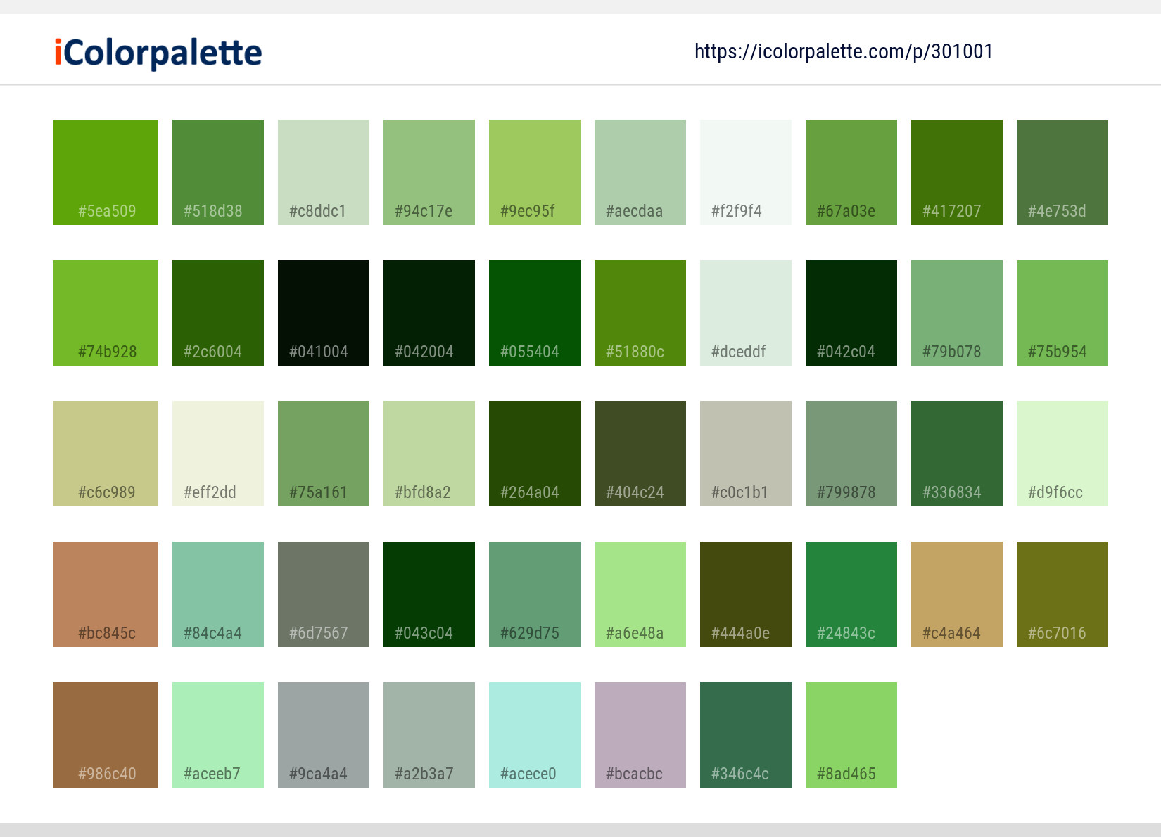 Color Palette Ideas from Dew Water Green Image | iColorpalette