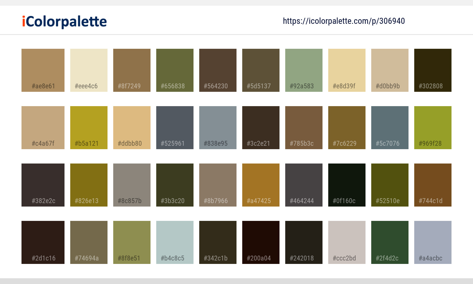 Color Palette Ideas from Road Path Lane Image | iColorpalette