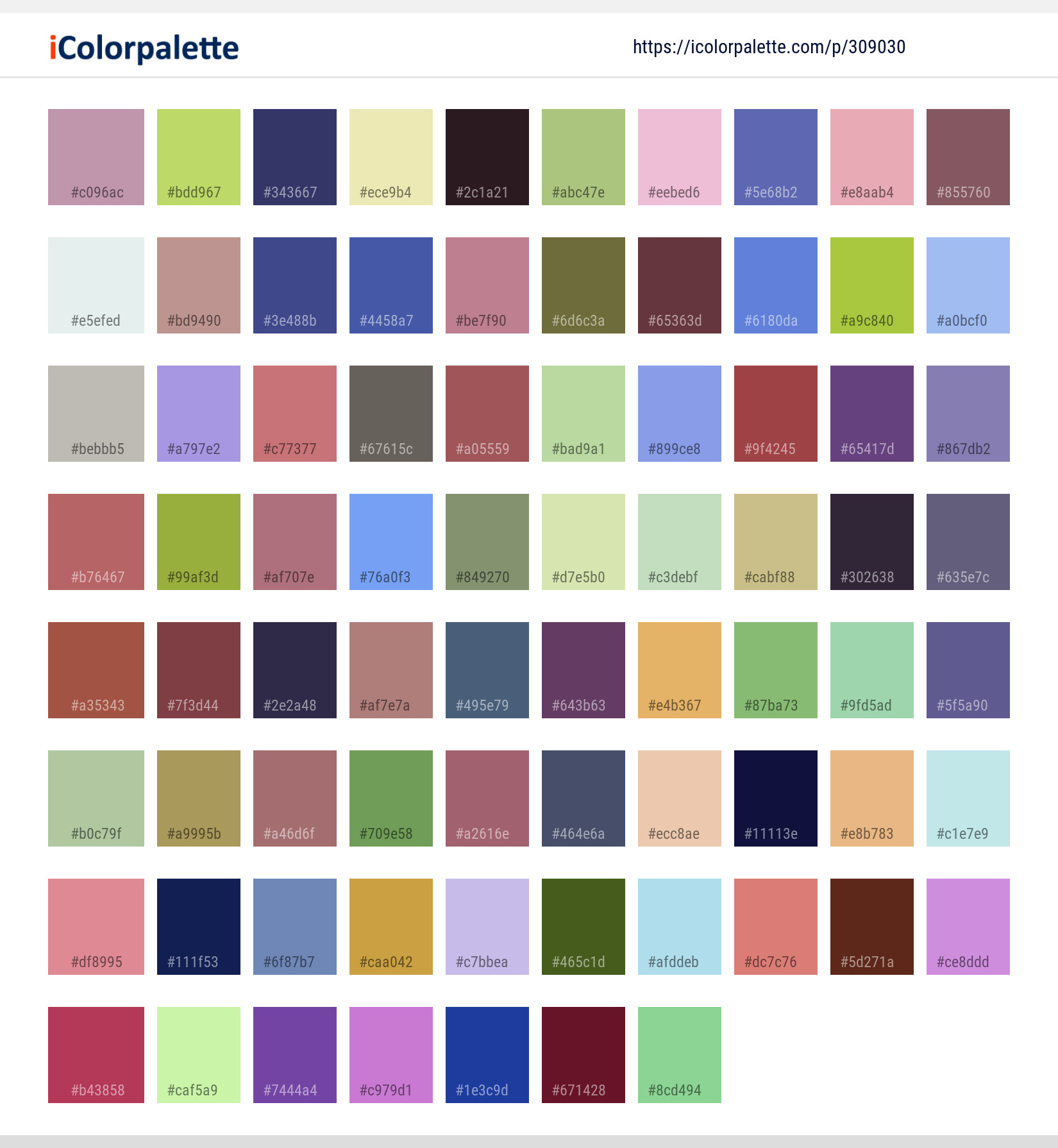 Color Palette Ideas from Grape Fruit Grapevine Family Image | iColorpalette