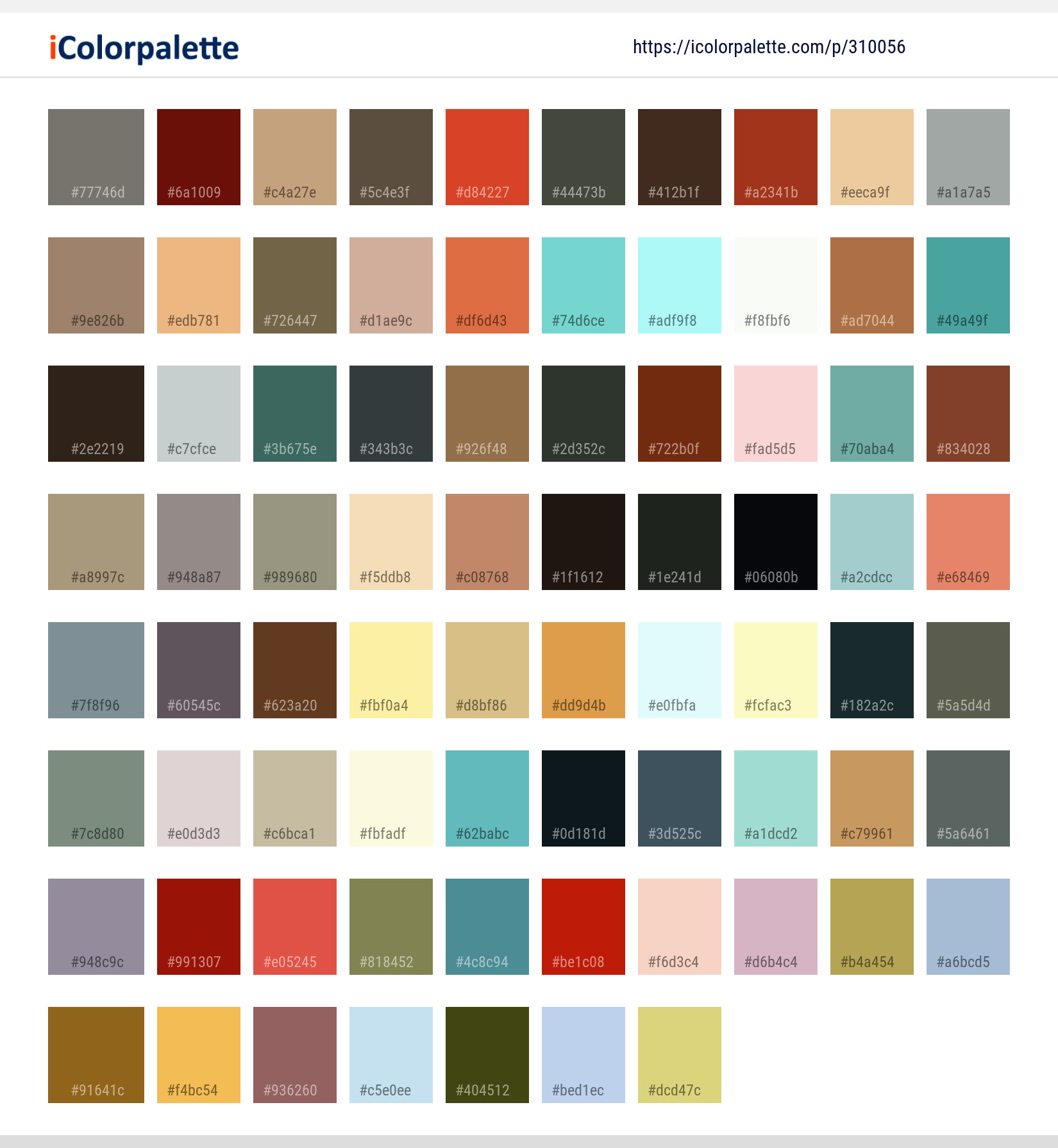Color Palette Ideas from Footwear Shoe Close Up Image | iColorpalette