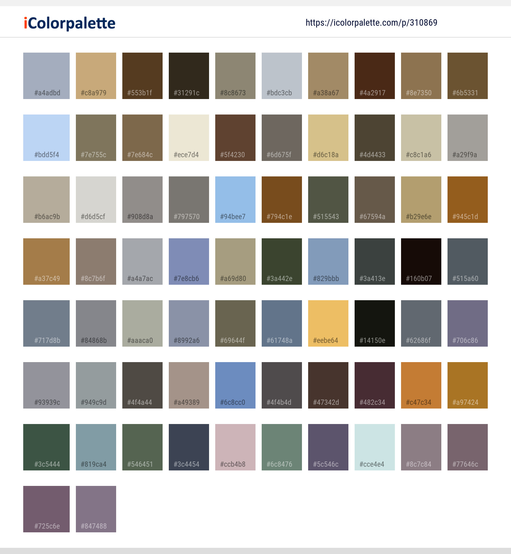 Color Palette Ideas from Grass Family Grain Phragmites Image ...