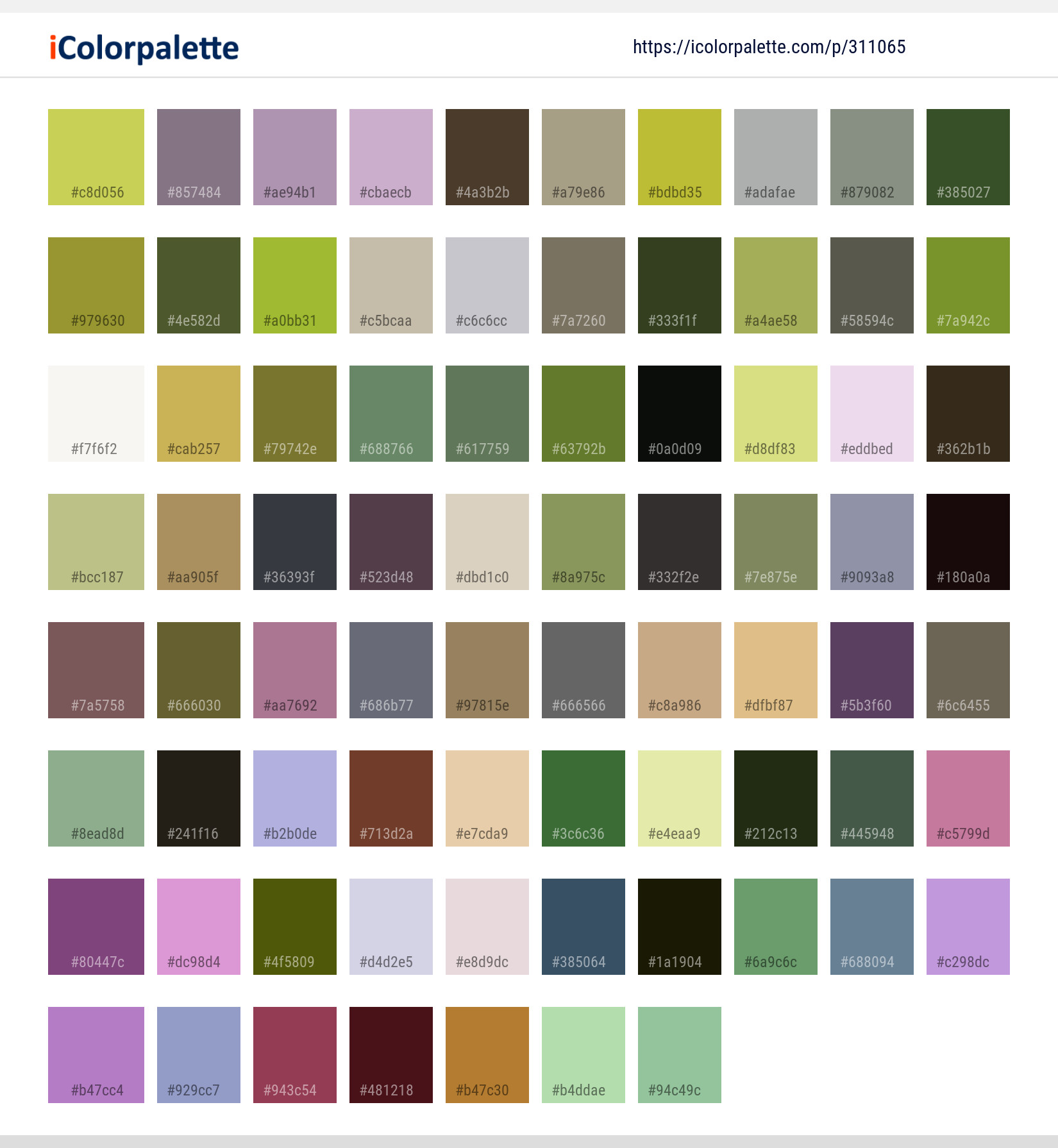 Color Palette Ideas from Plant Flower Flora Image | iColorpalette