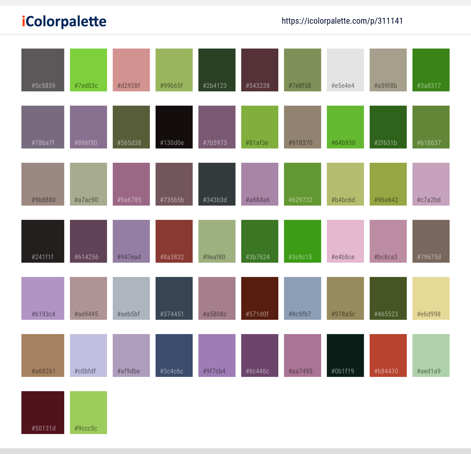 Color Palette Ideas from Insect Pest Macro Photography Image ...