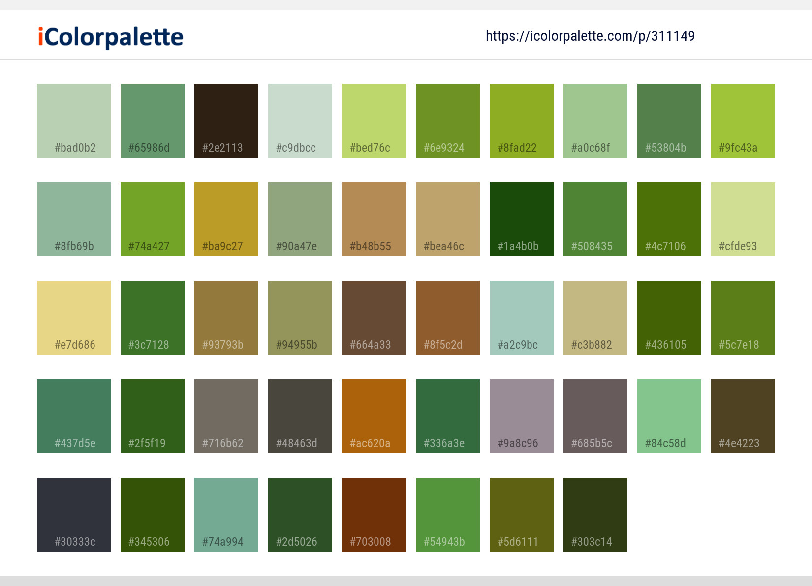 Color Palette Ideas from Insect Pest Macro Photography Image ...