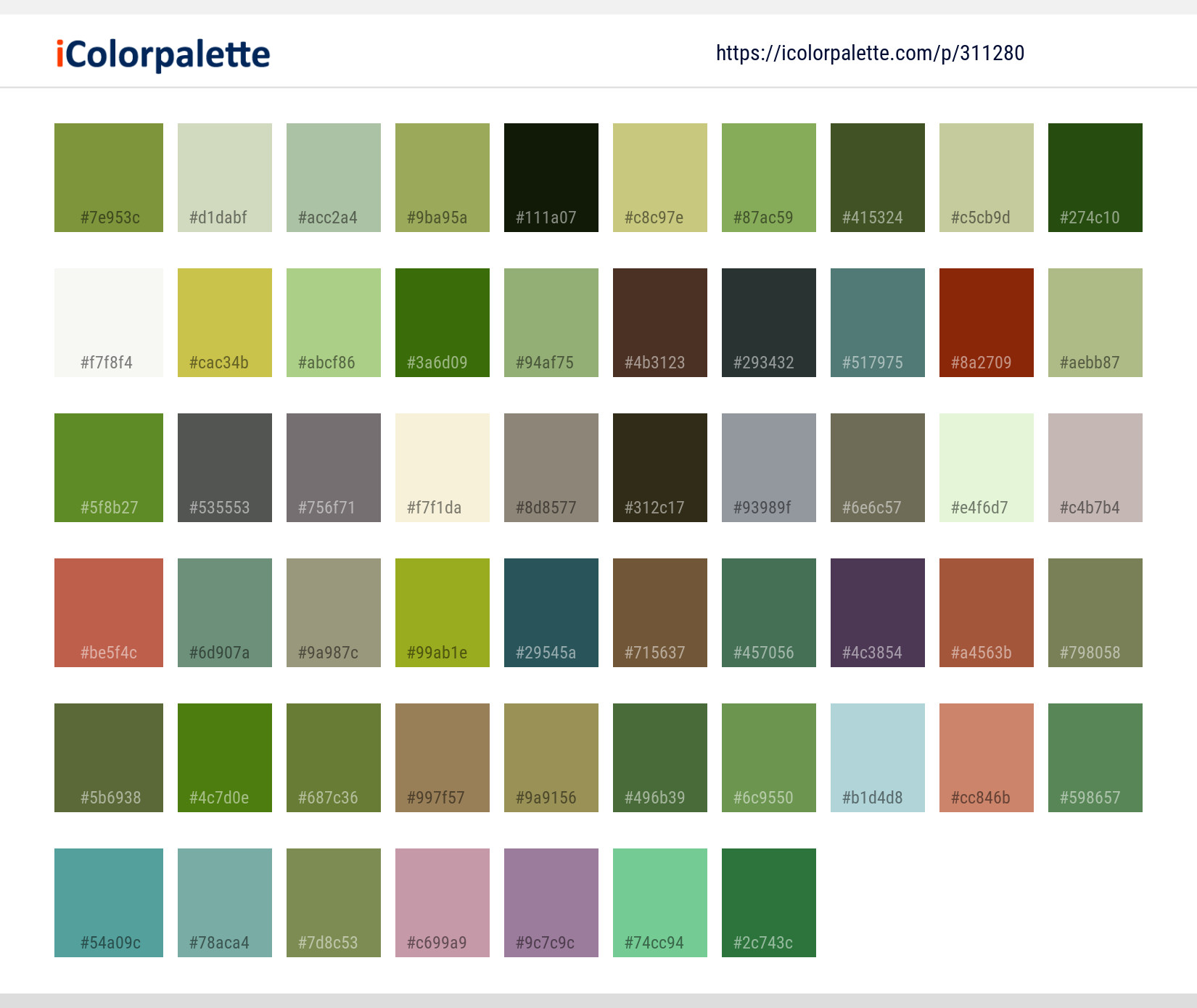 Color Palette Ideas from Insect Fly Pest Image | iColorpalette