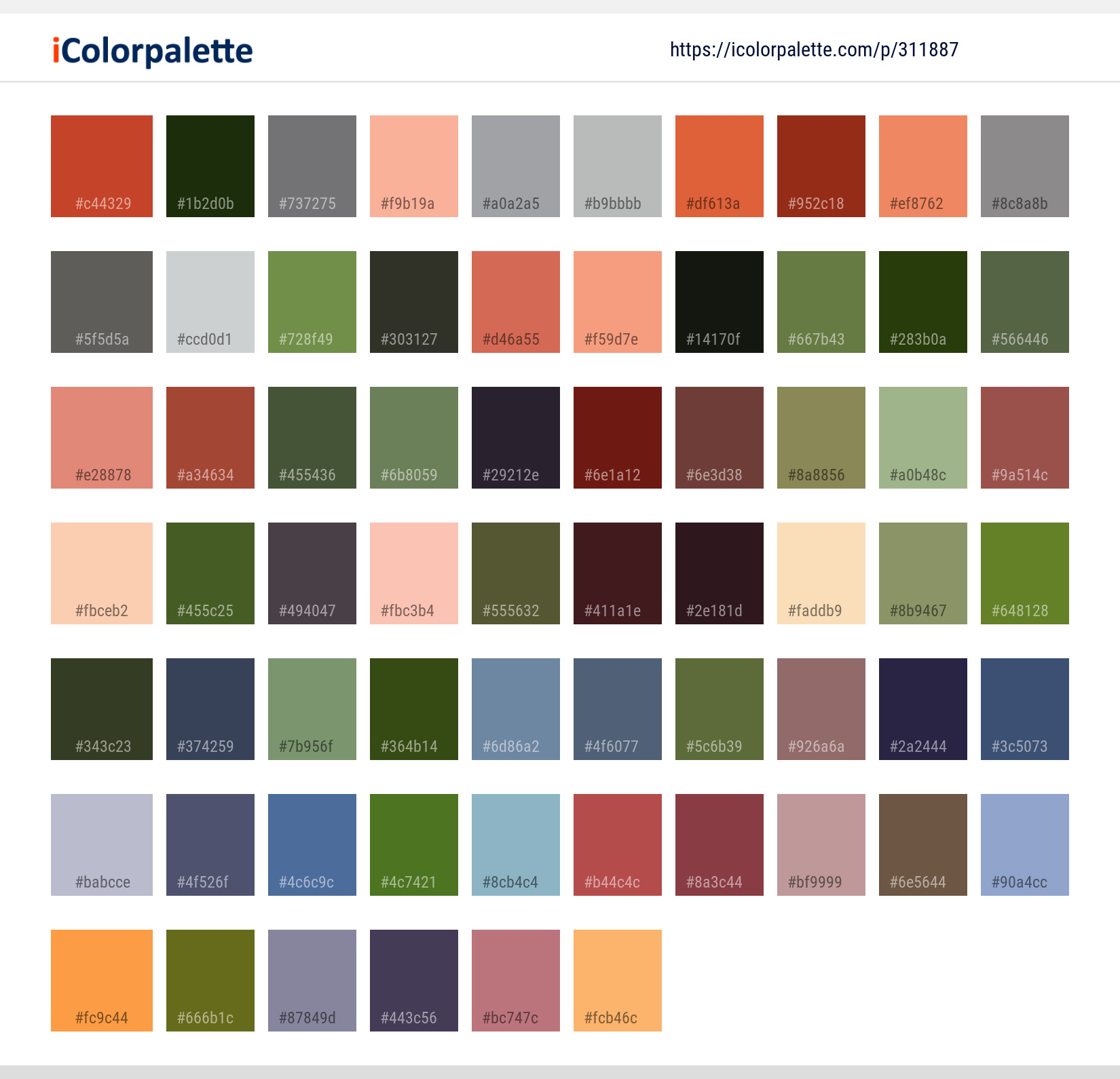 Color Palette Ideas from Beak Bird Fauna Image | iColorpalette