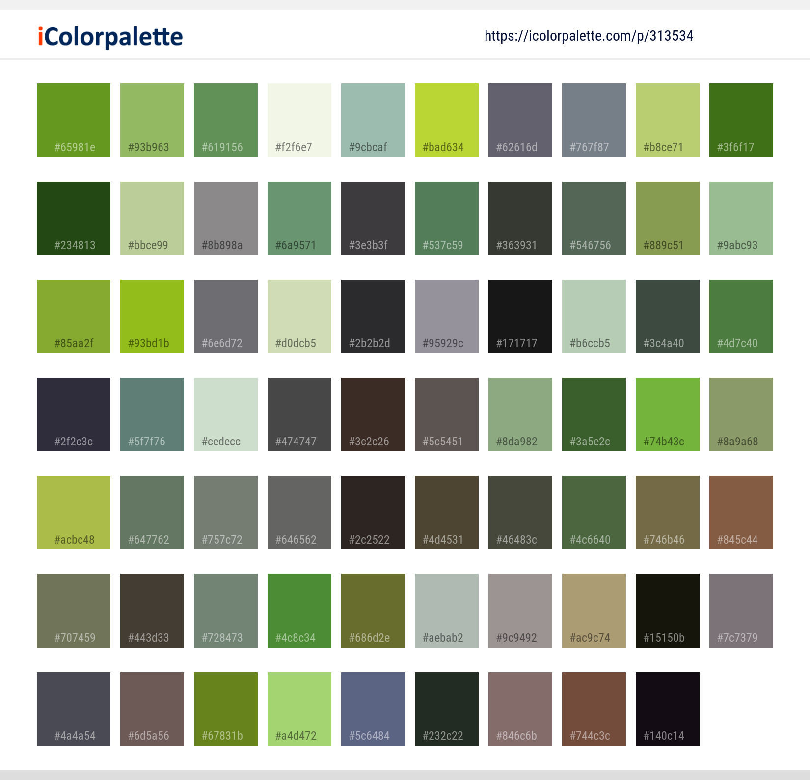 Color Palette Ideas from Leaf Plant Herb Image | iColorpalette