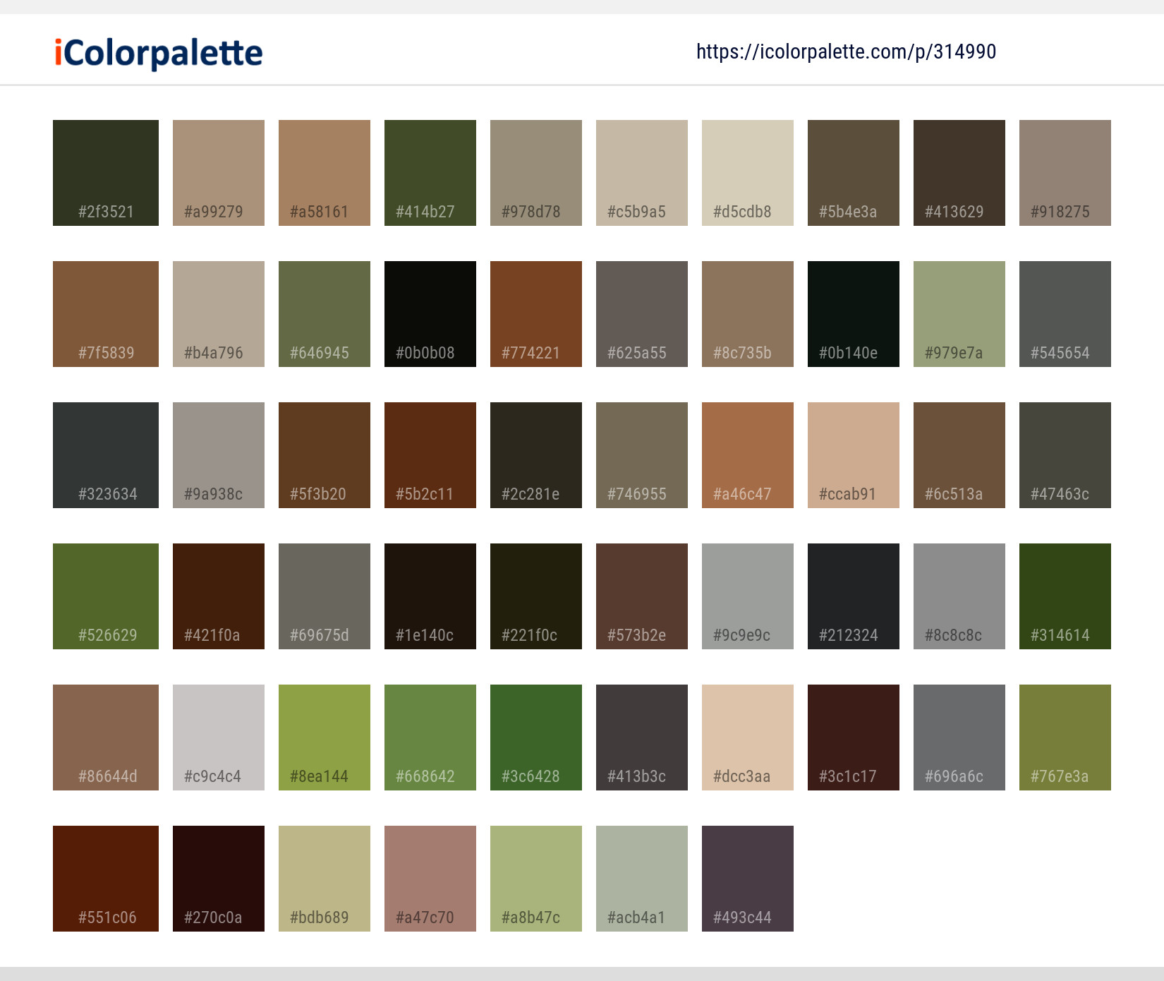 Color Palette Ideas from Terrestrial Animal Wildlife Puma Image ...