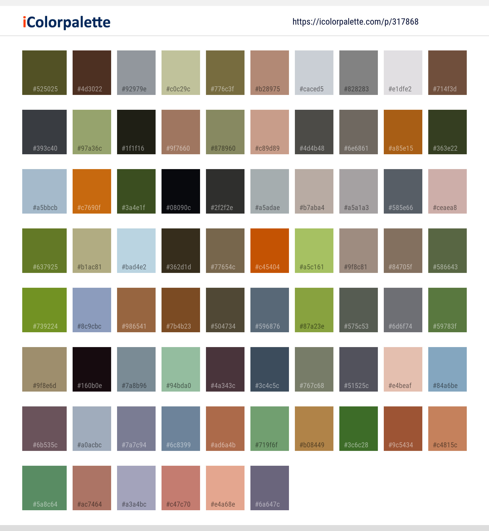 Color Palette Ideas from Bird European Robin Fauna Image | iColorPalette