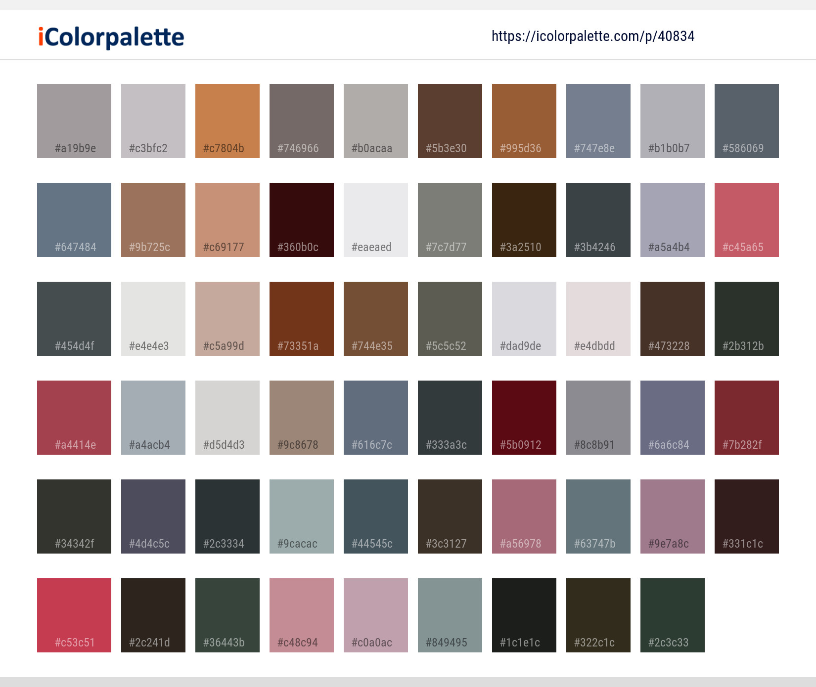 Color Palette Ideas from Honey Bee Insect Image | iColorpalette