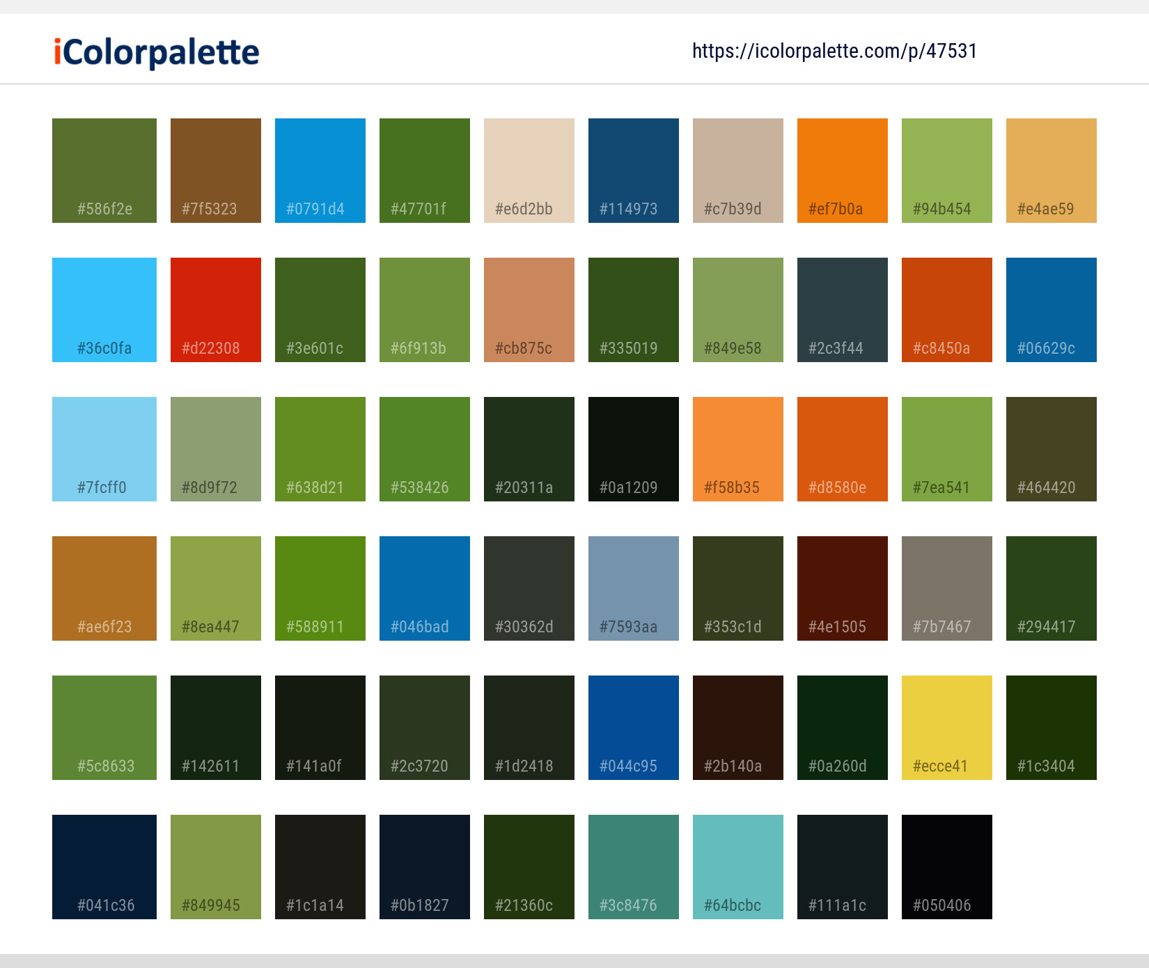 Color Palette Ideas from Grass Plant Lawn Image | iColorPalette