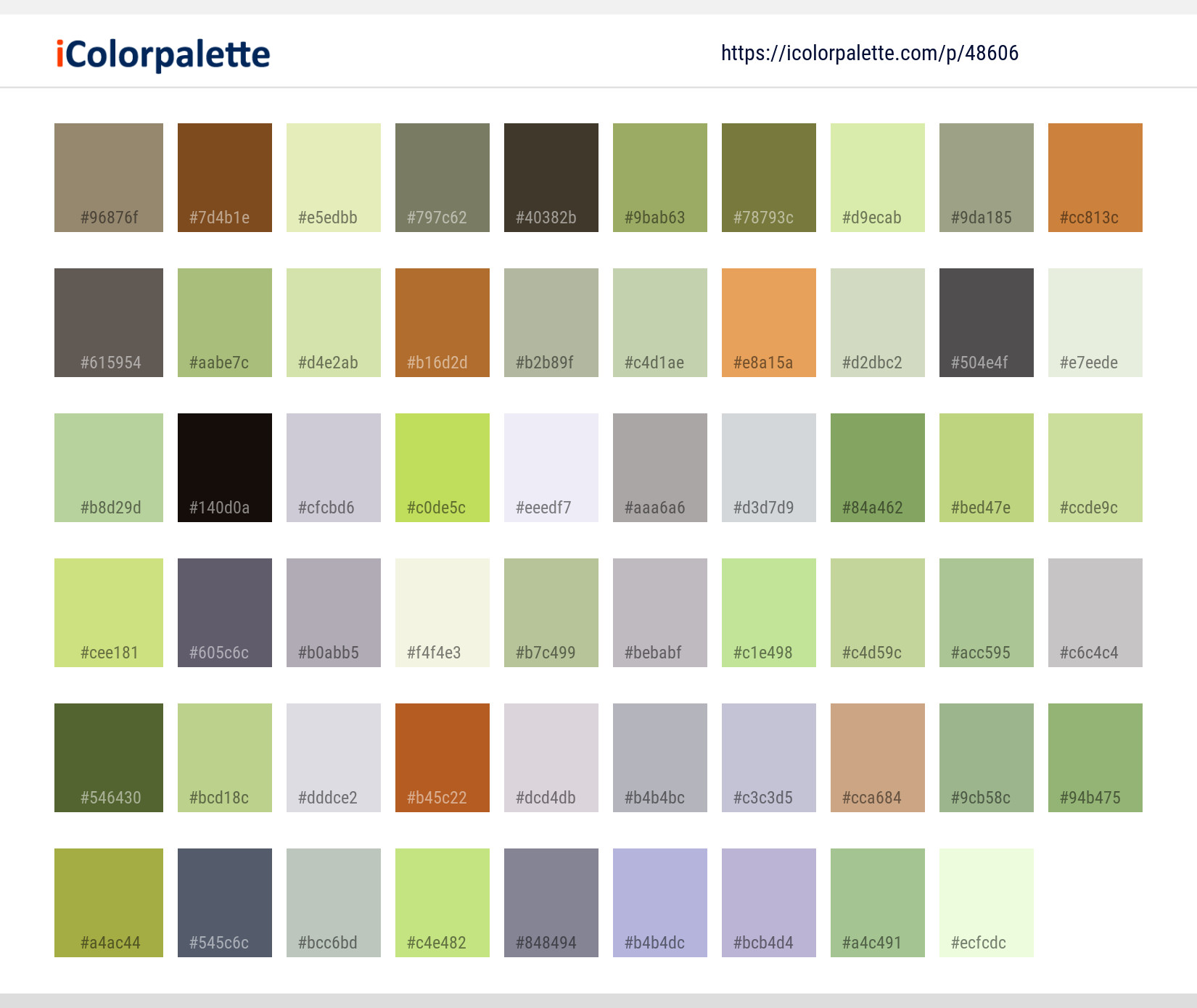 Color Palette Ideas from Bird European Robin Beak Image | iColorpalette