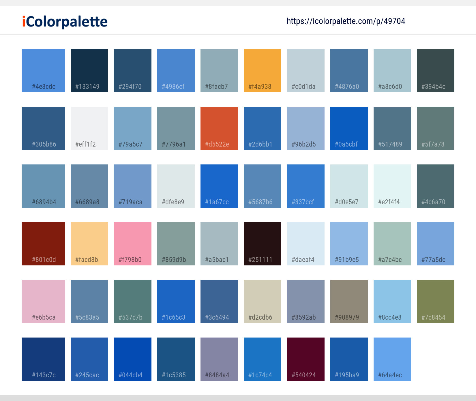 Color Palette Ideas from Polar Bear Mammal Image | iColorpalette