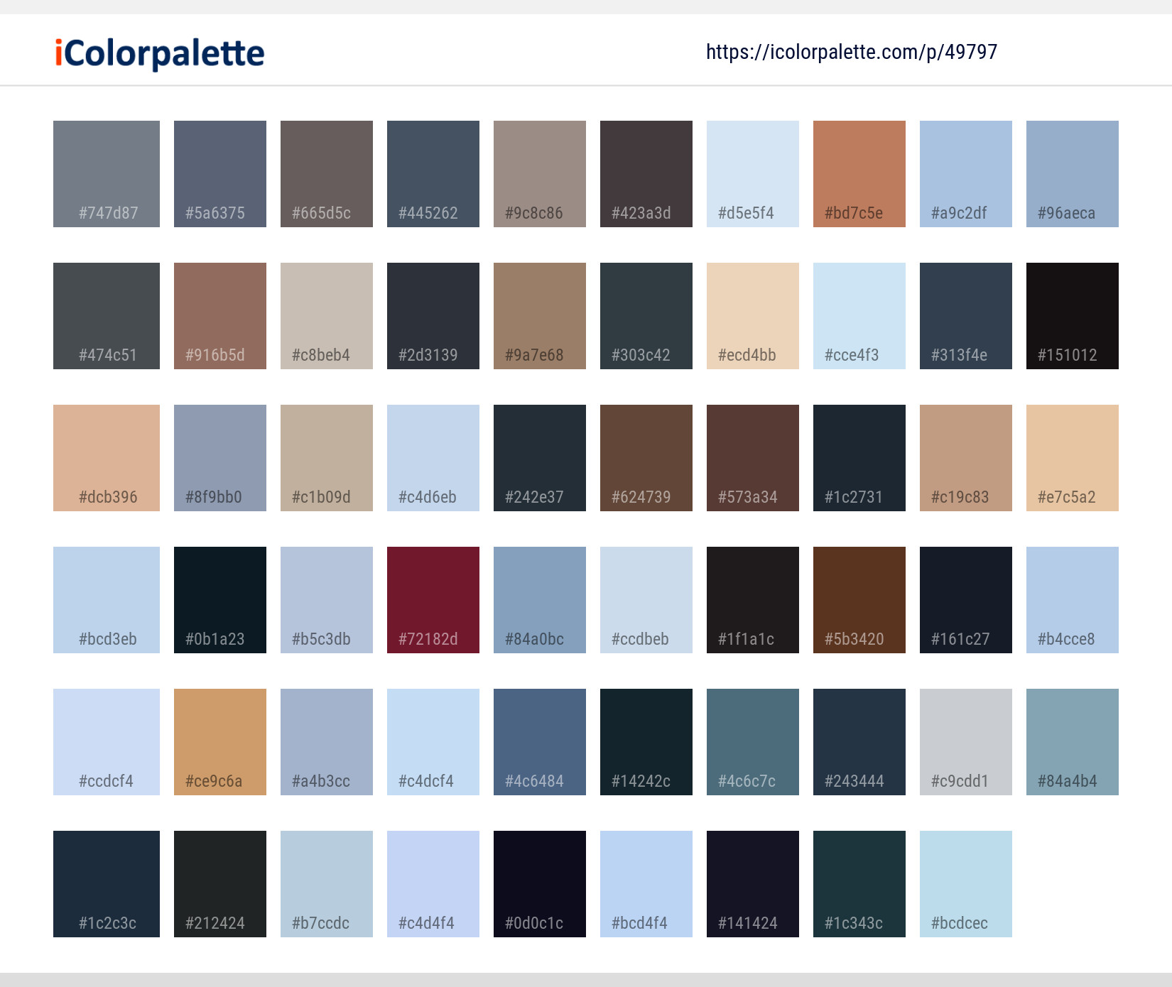 Color Palette Ideas from Winter Fur Clothing Image | iColorpalette