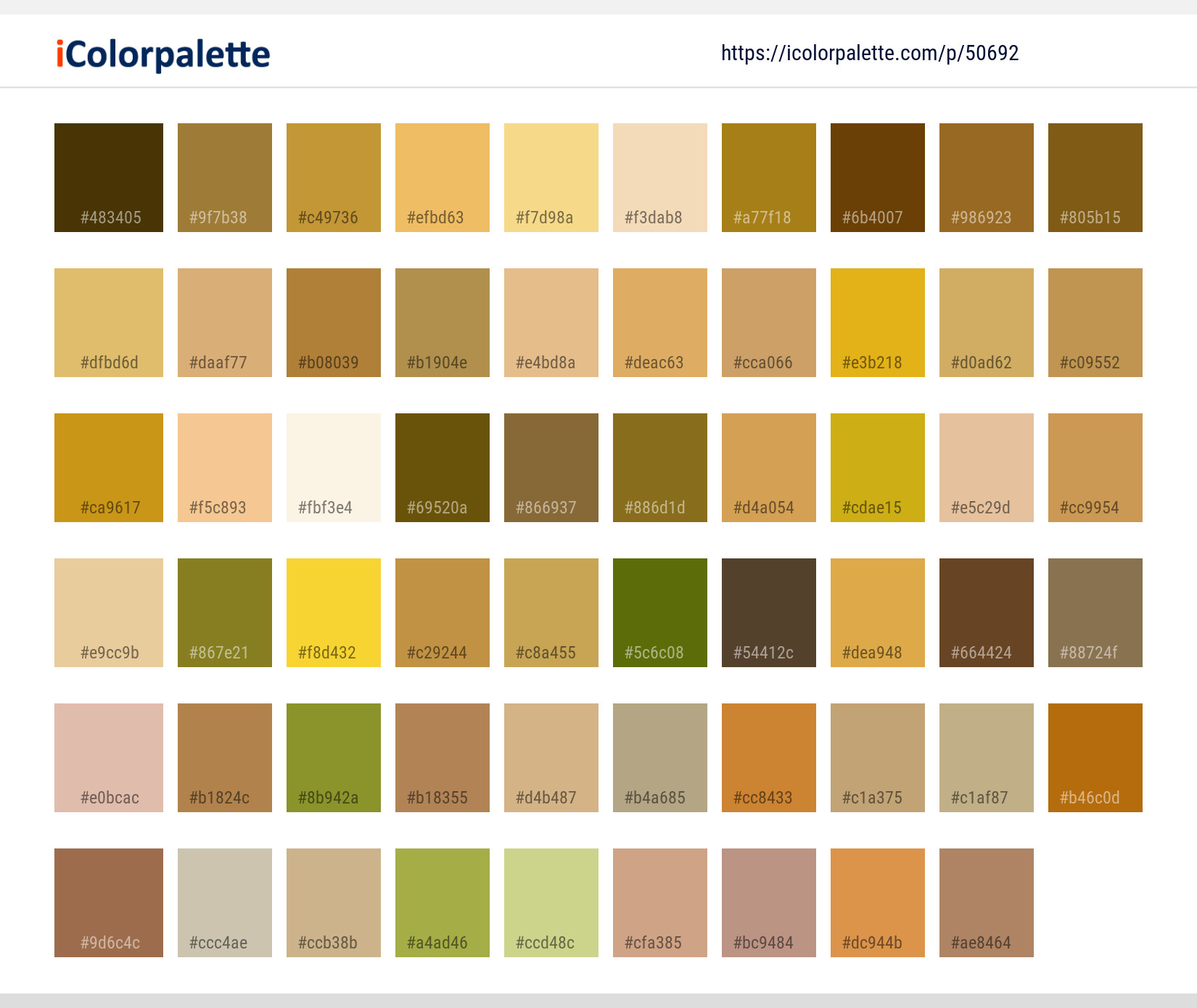 Color Palette Ideas from Food Grain Wheat Cereal Image | iColorpalette