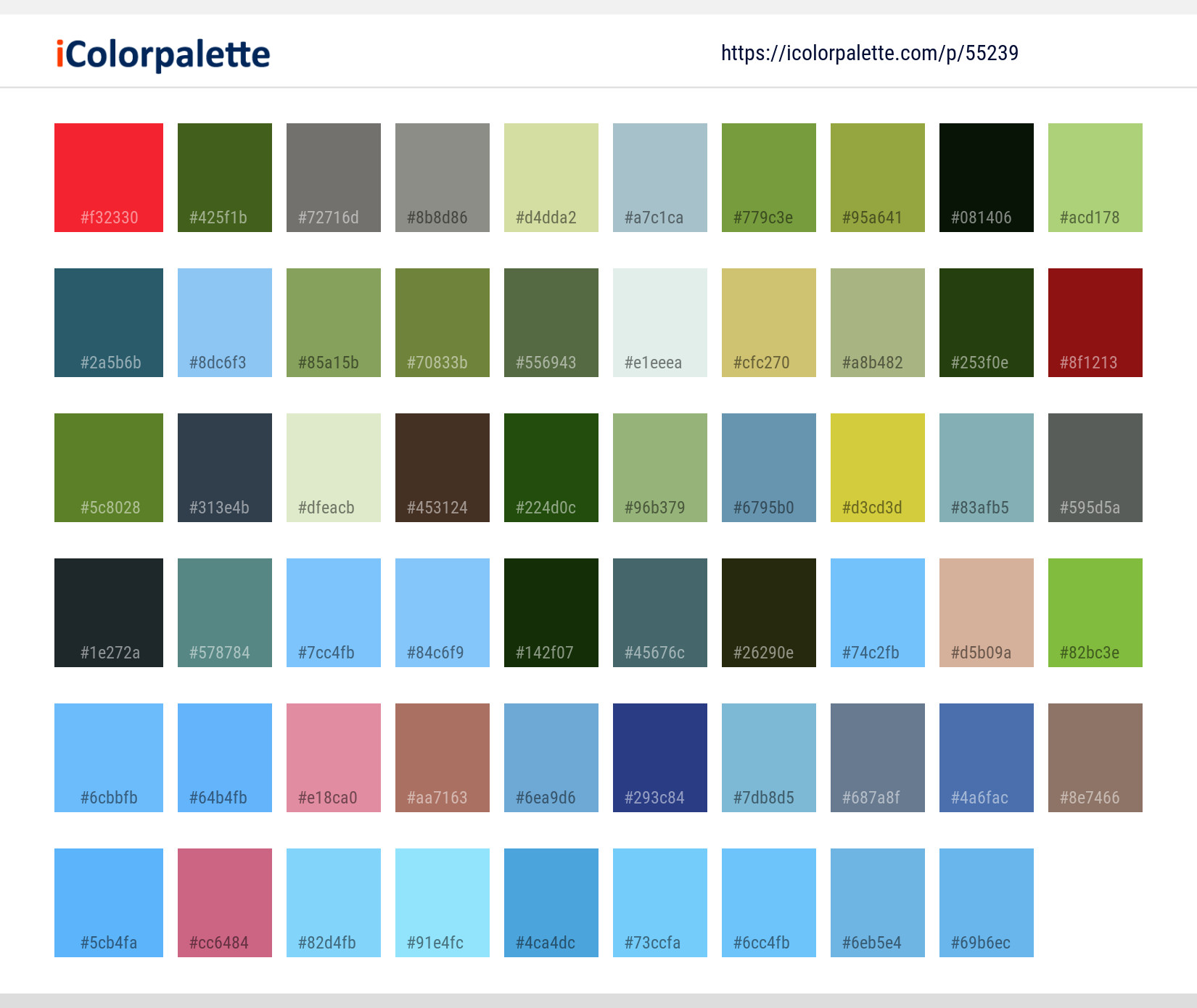 Color Palette Ideas from Nature Path Person Image | iColorpalette
