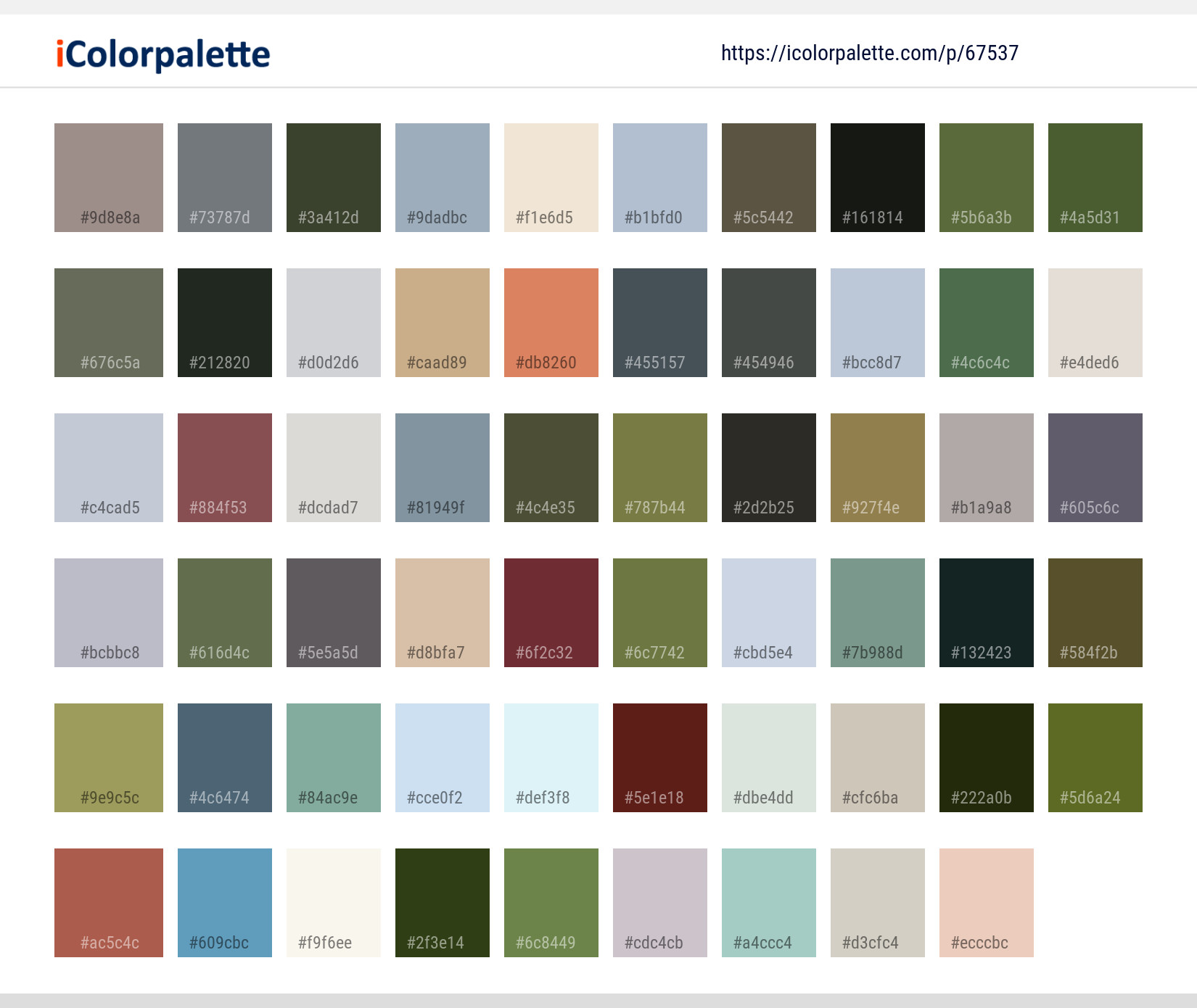 Color Palette Ideas from Sky Tower Field Image | iColorpalette