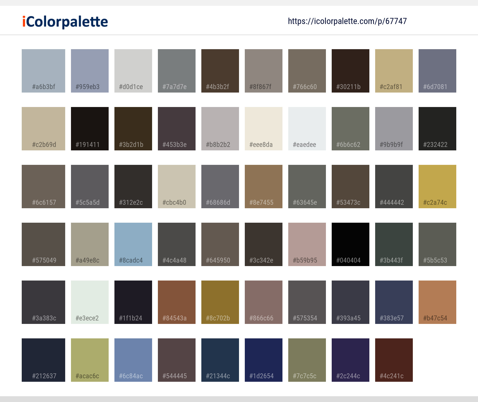 Color Palette Ideas from Bird Hawk Beak Image | iColorpalette