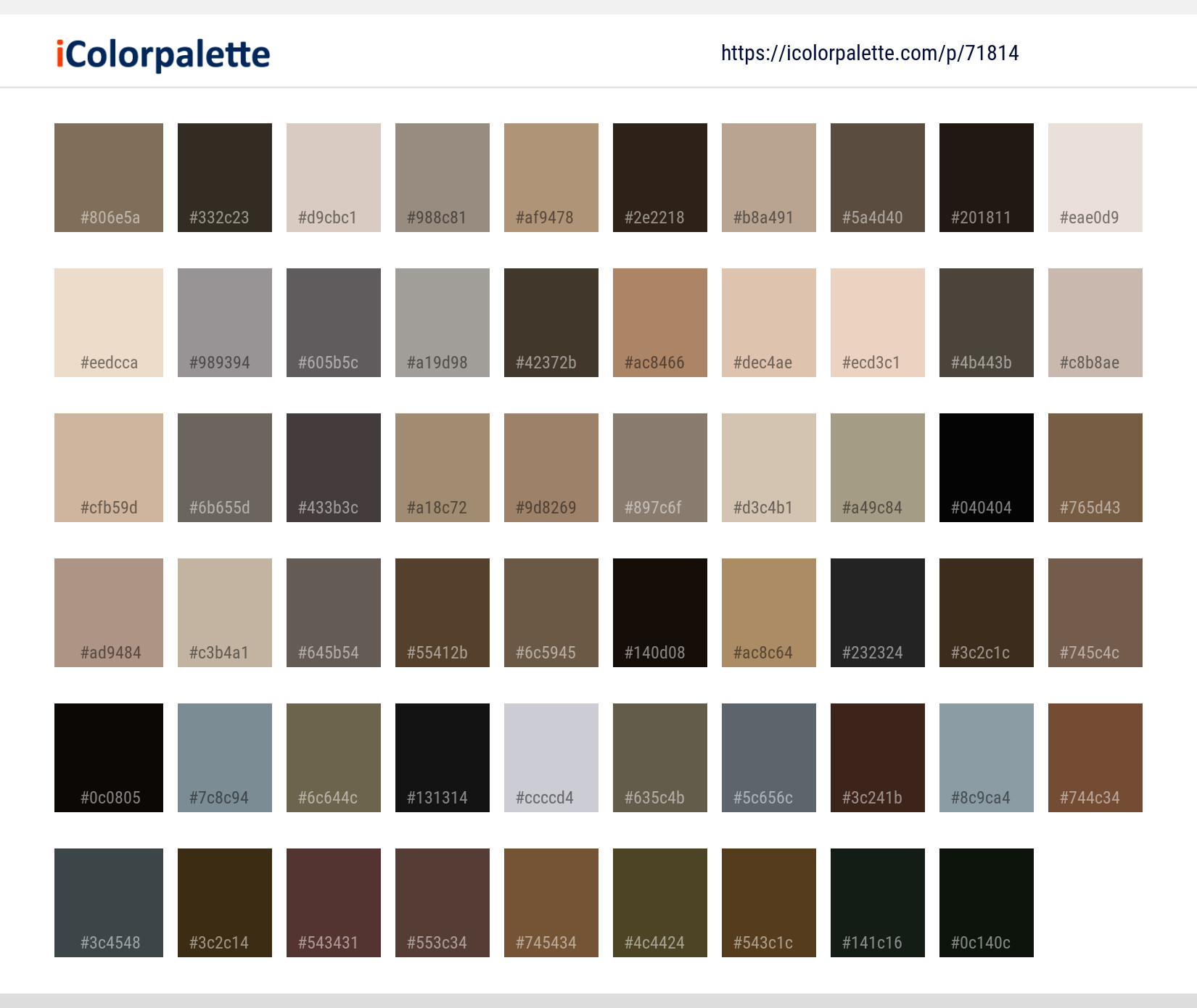 Color Palette Ideas from Wildlife Lion Mammal Image | iColorpalette