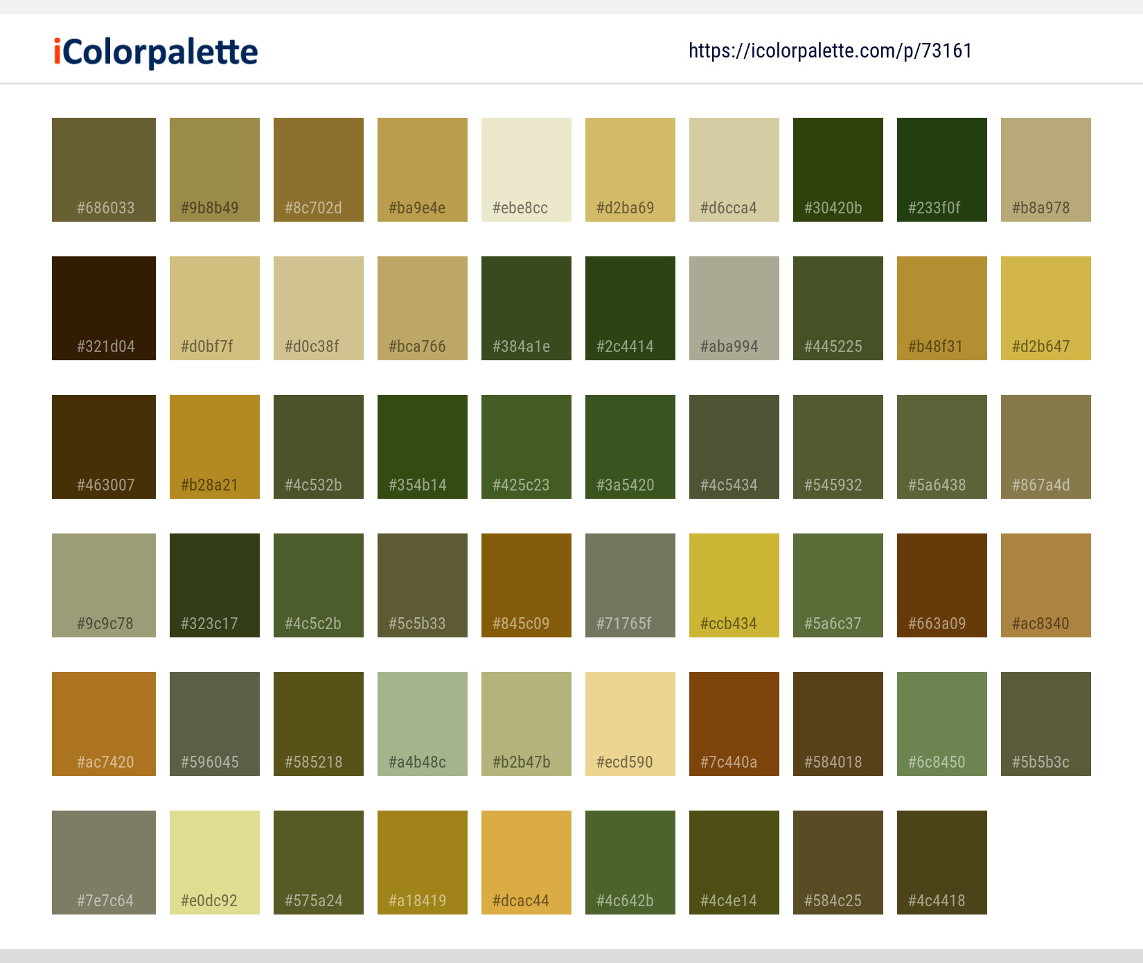 Color Palette Ideas from Grass Family Close Up Food Grain Image ...