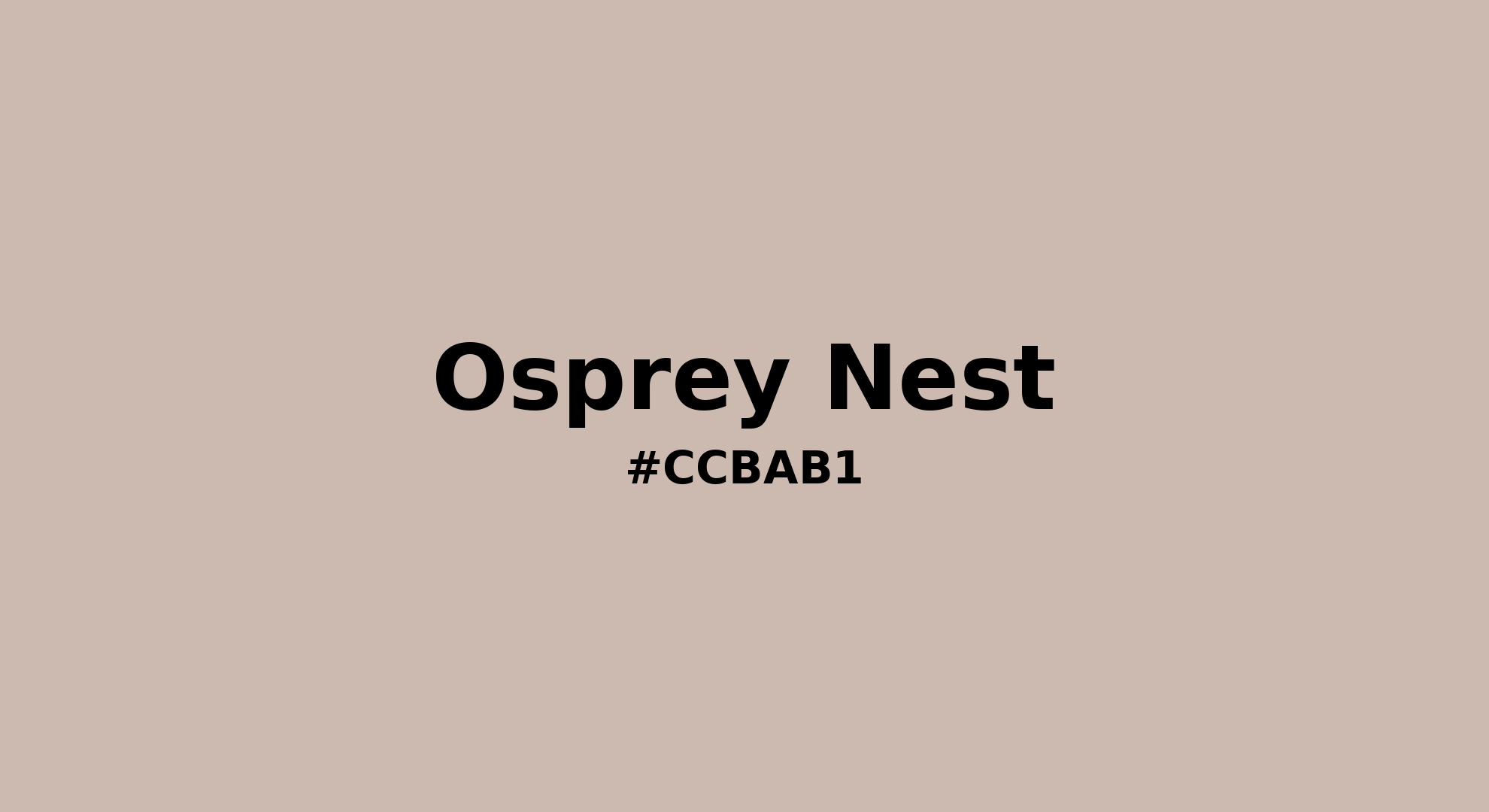 Osprey Nest | Color conversion CMYK | Hsl | Rgb | Pantone Printing Match