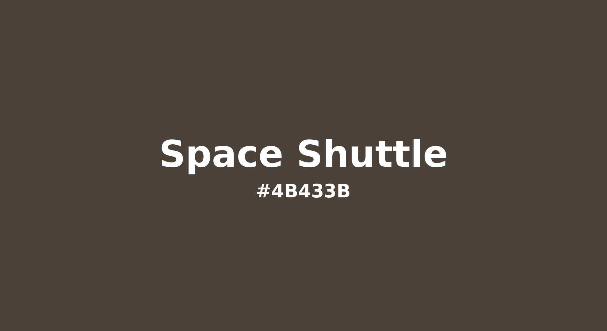 Space Shuttle | Color conversion CMYK | Hsl | Rgb | Pantone Printing Match