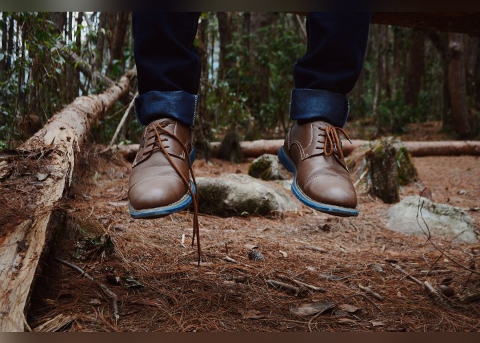 Color Palette Ideas from Footwear Shoe Tree Image | iColorpalette