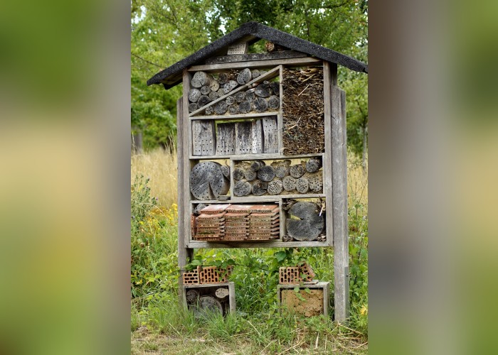 Color Palette Ideas from Outhouse Shack Tree Image | iColorpalette