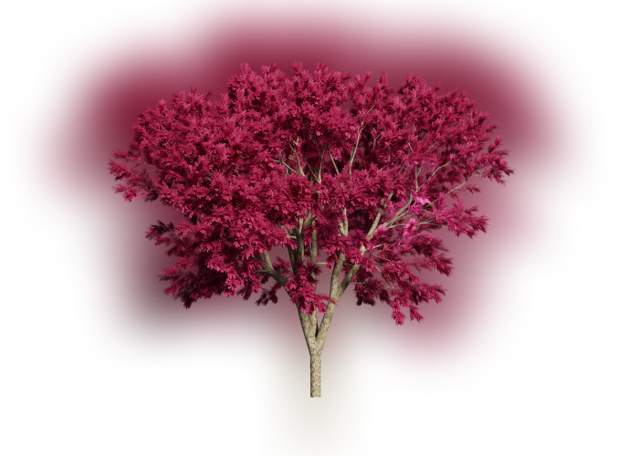 Color Palette Ideas from Pink Purple Tree Image | iColorpalette