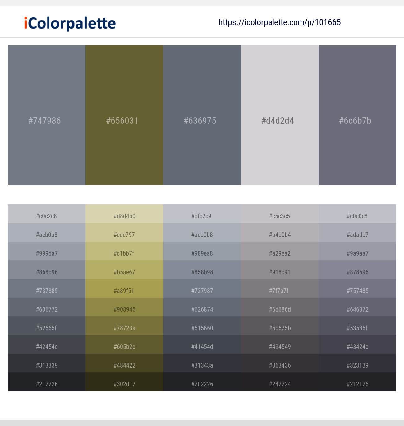 3 Latest Color Schemes with Pale Slate And Dolphin Color tone ...