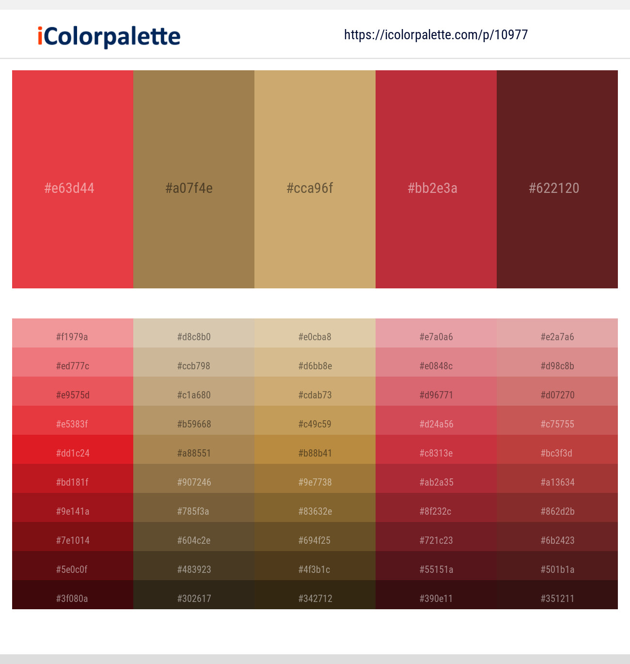 1+ Cinnabar And Laser Color Palettes & Gradient Ideas | iColorPalette