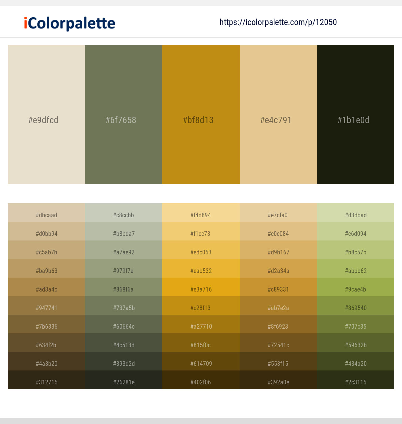 1 Latest Color Schemes with Pizza And Putty Color tone combinations ...