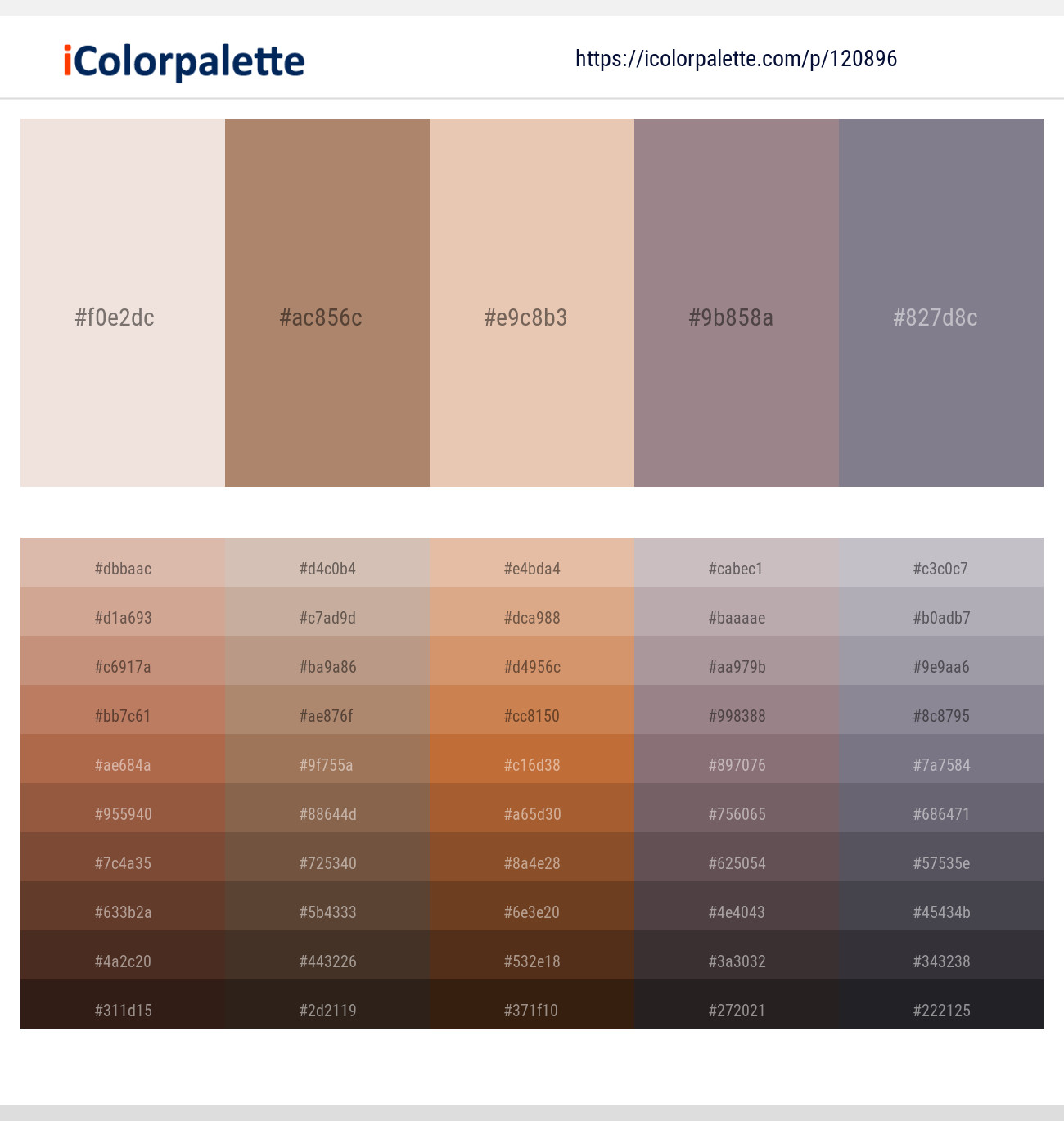 3 Latest Color Schemes with Bizarre And Sandal Color tone combinations ...