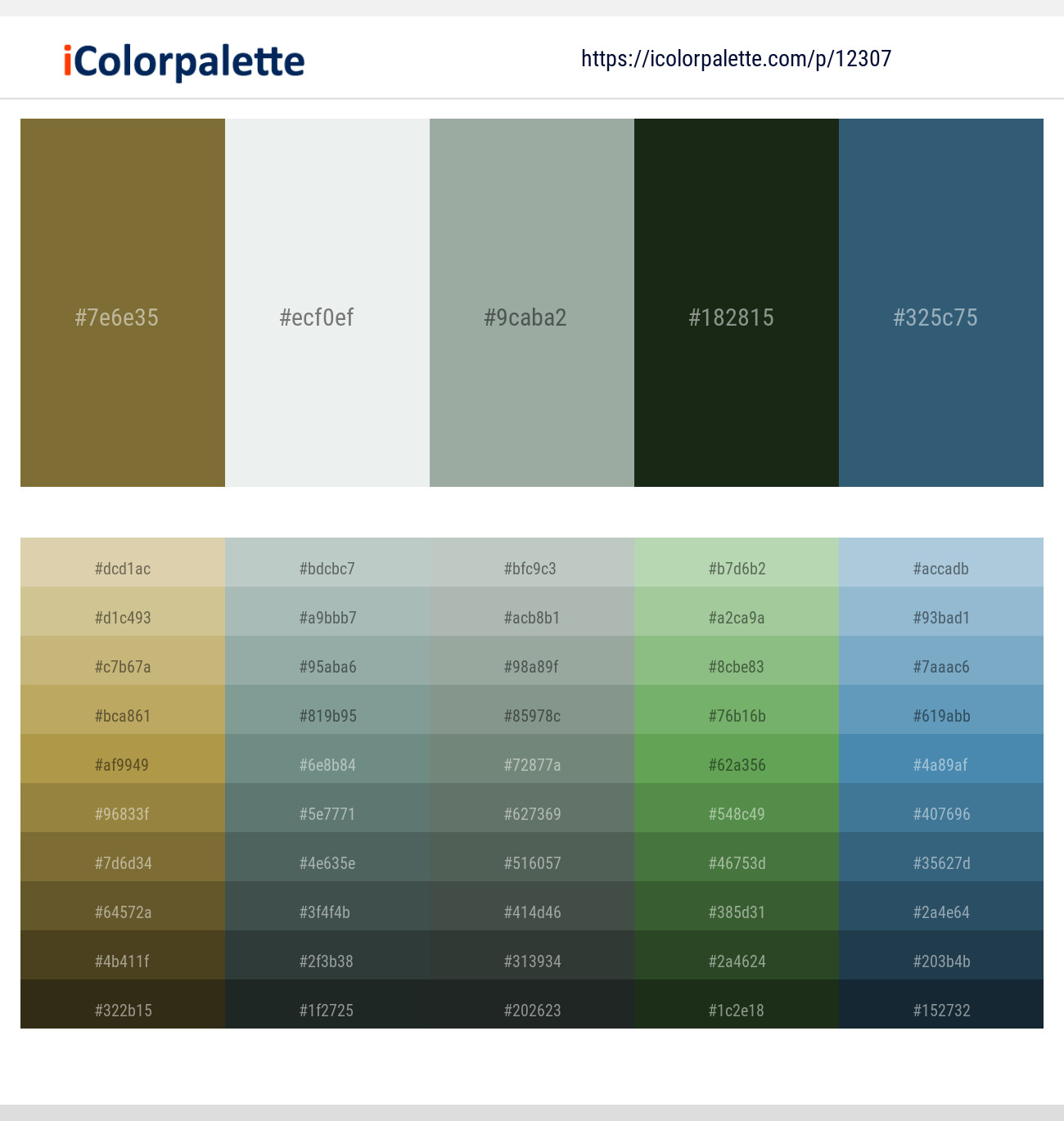 Pesto – Porcelain – Pewter – Hunter Green – Casal Color scheme ...